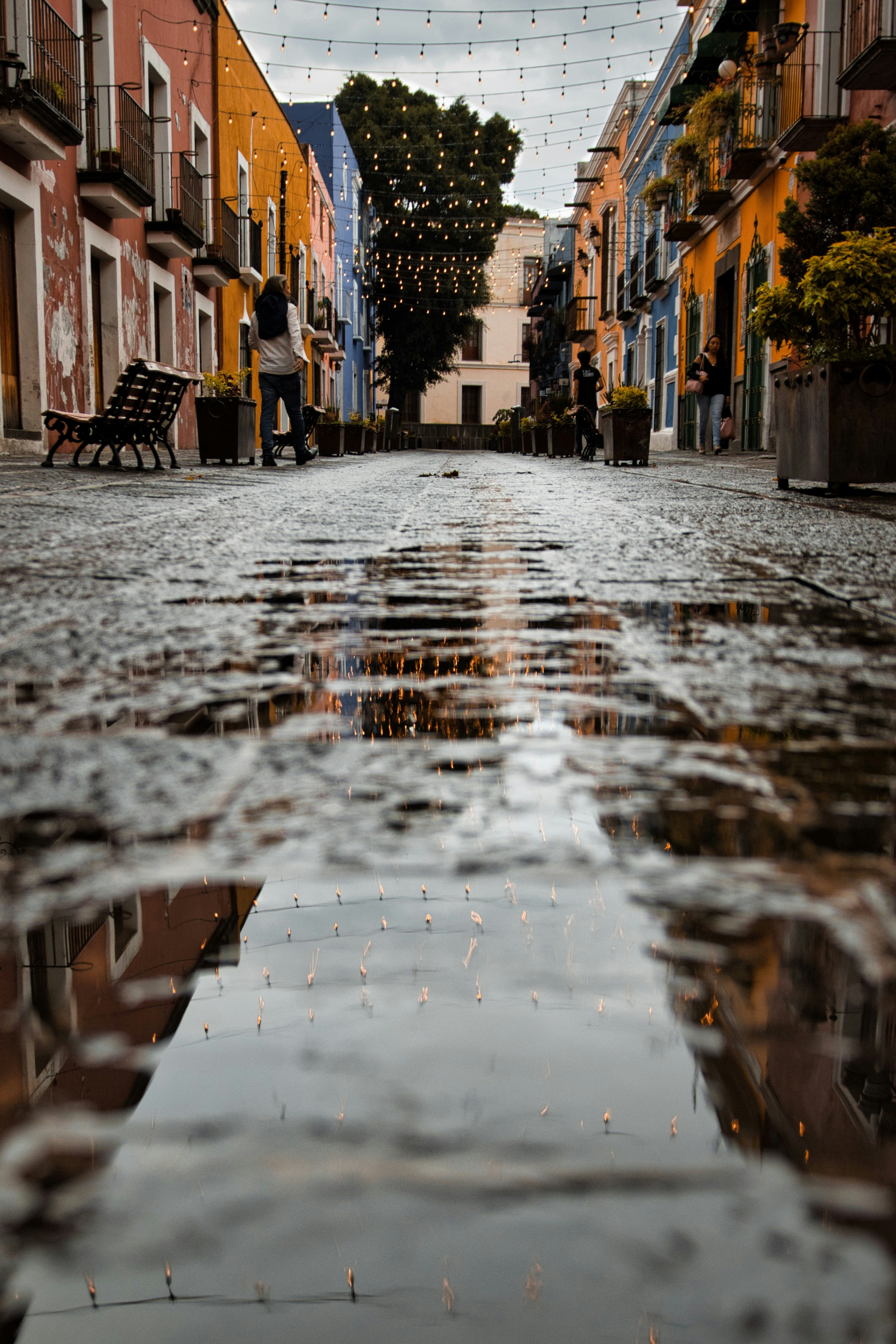 Colorwashed Calle: Rain, Light, and Reflection