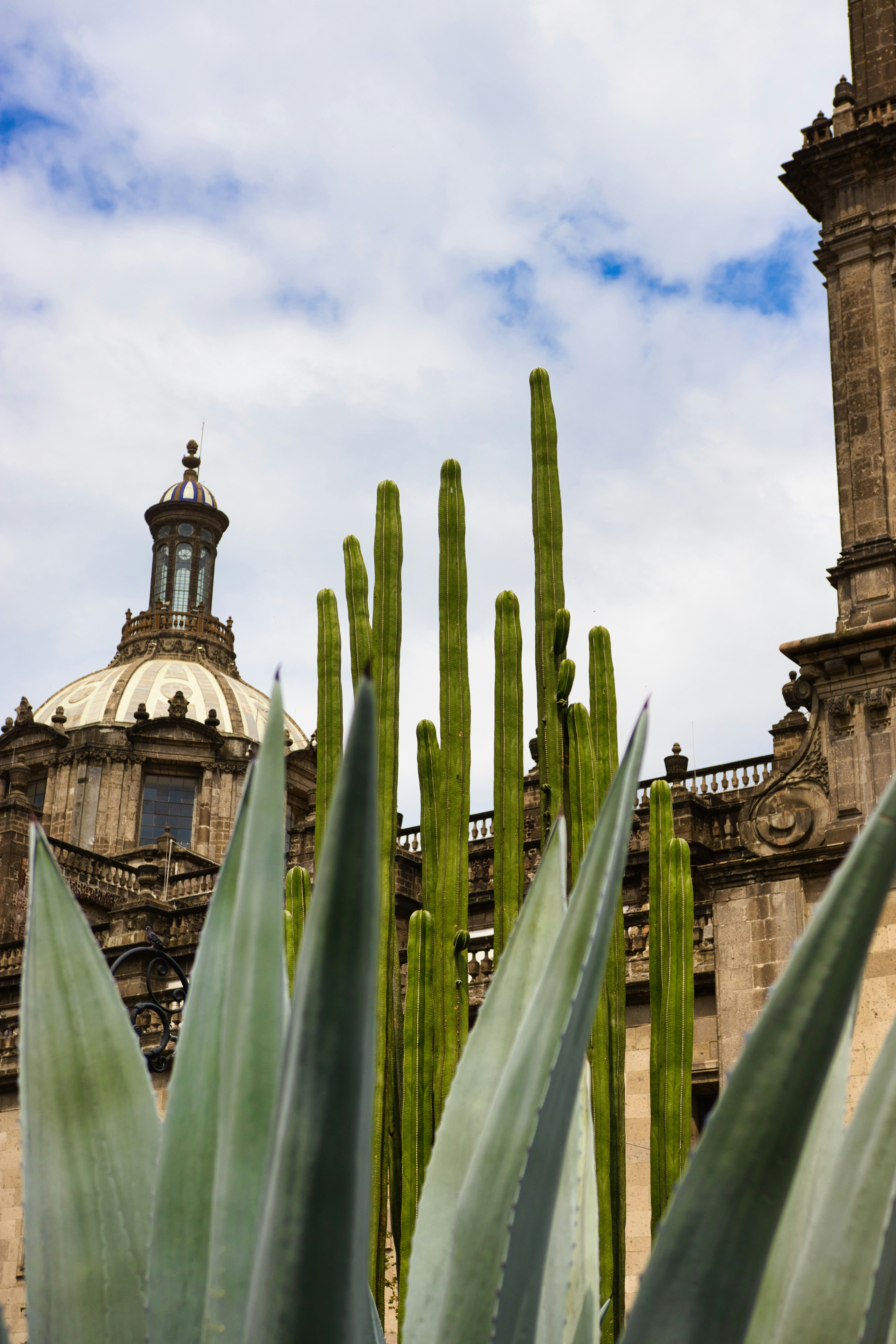 Photo by 𝕡𝕒𝕨𝕤 𝕒𝕟𝕕 𝕡𝕣𝕚𝕟𝕥𝕤 with Canon EOS 250D