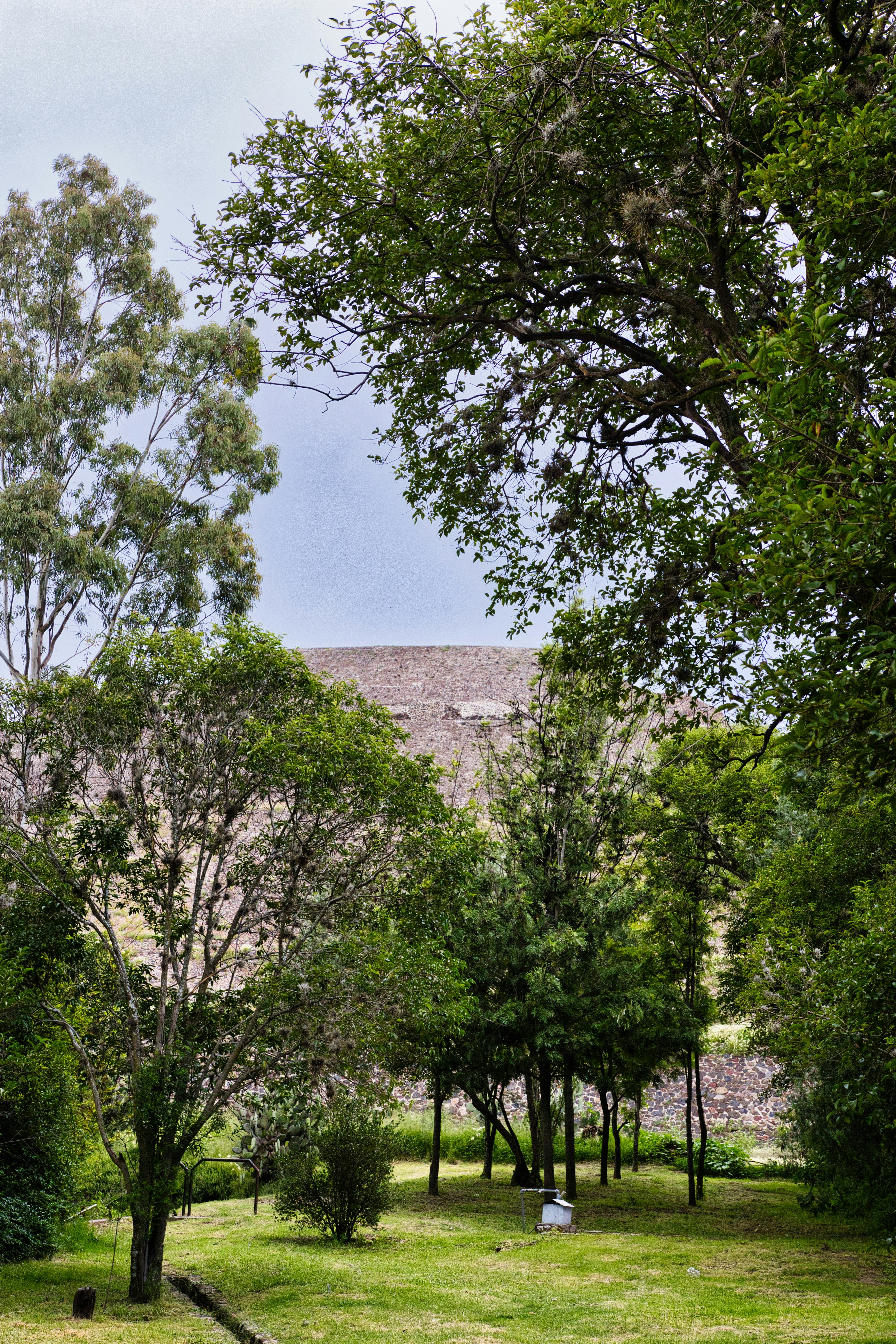 Whispers of Ancient Landscapes