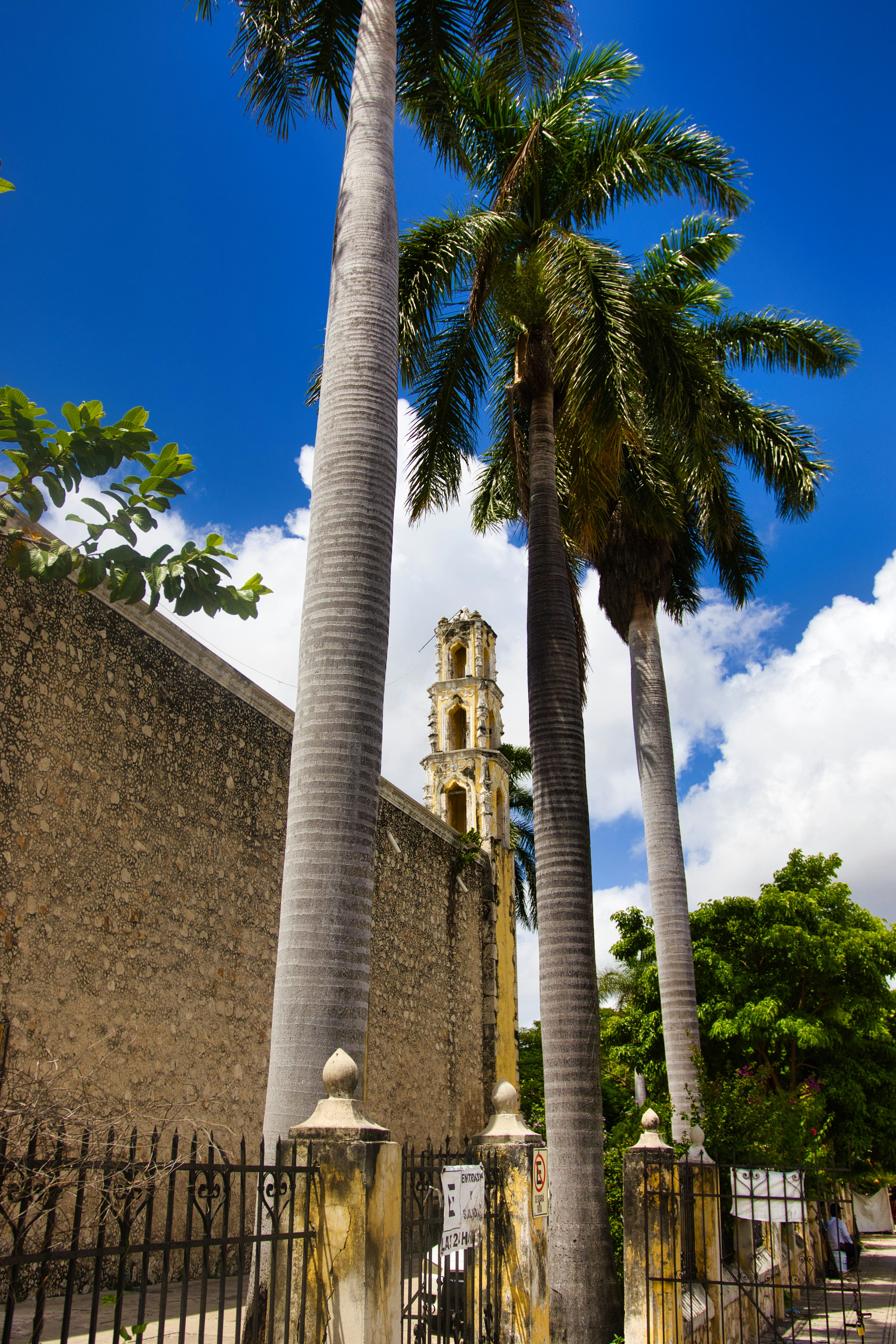 Tall palm trees in front of an old stone building.