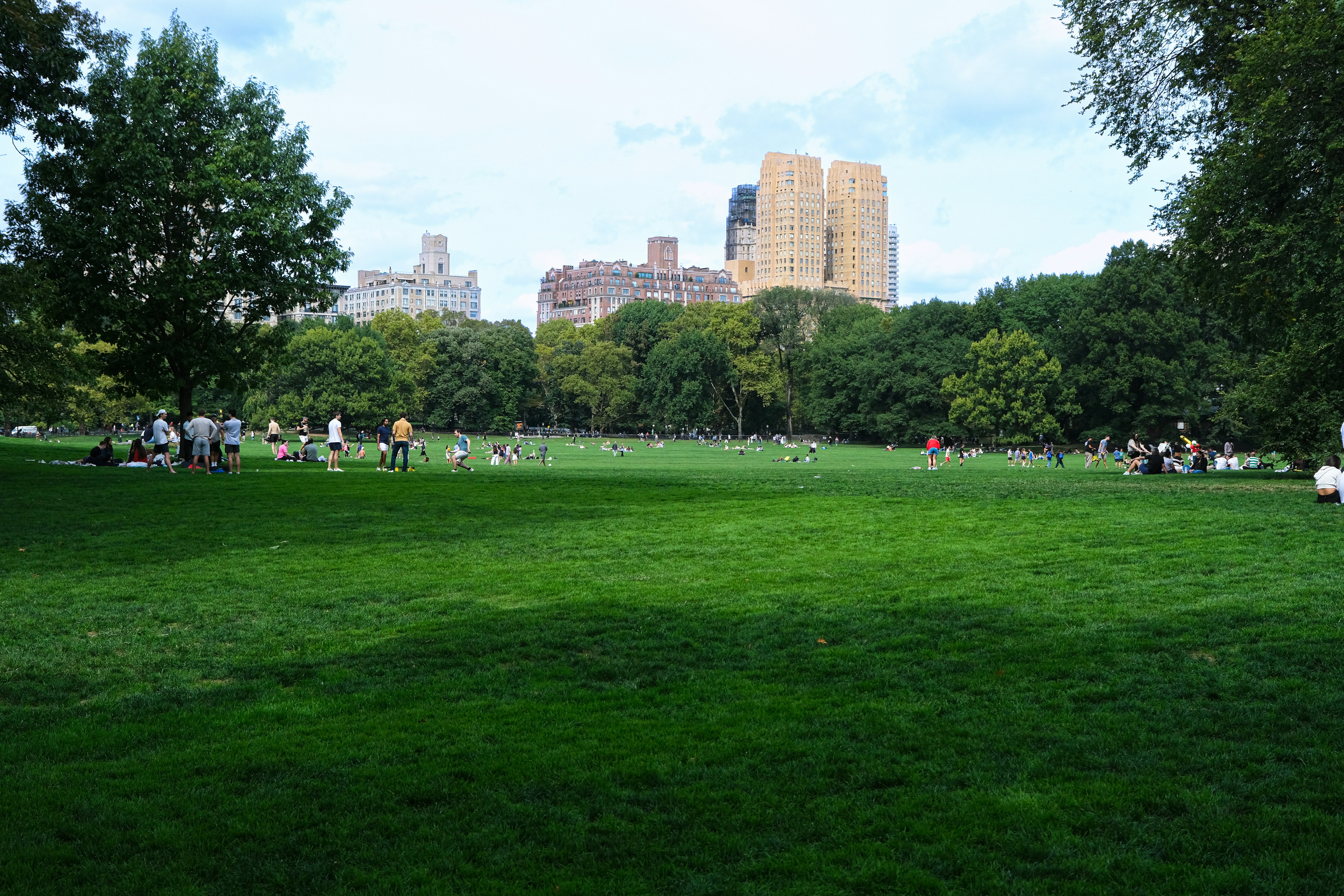 Vibrant green park filled with people enjoying leisure activities, framed by towering city buildings in the background.