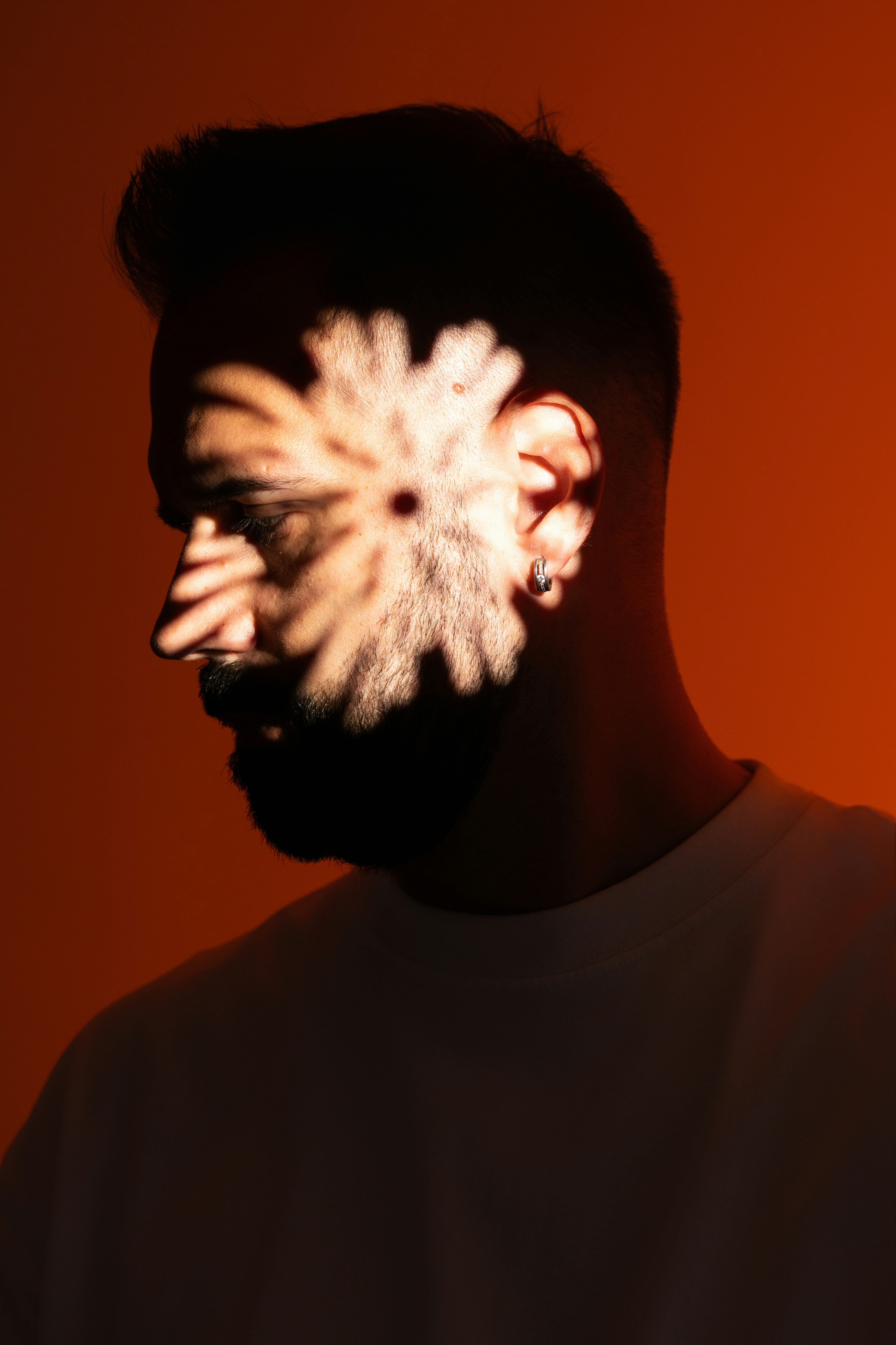 Shadow Play: A Dance of Light and Form