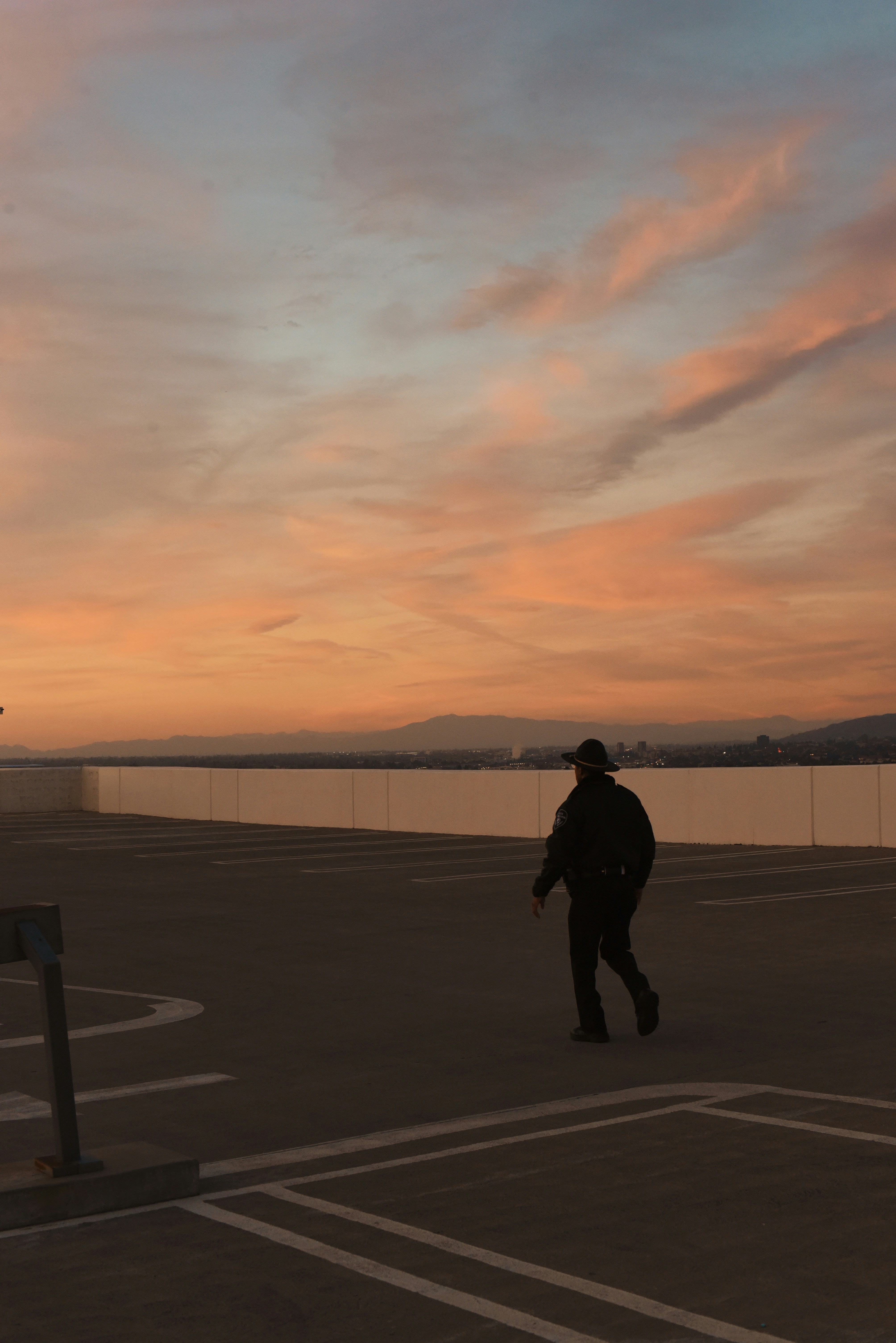 Twilight Patrol: A Guardian in the Evening Glow