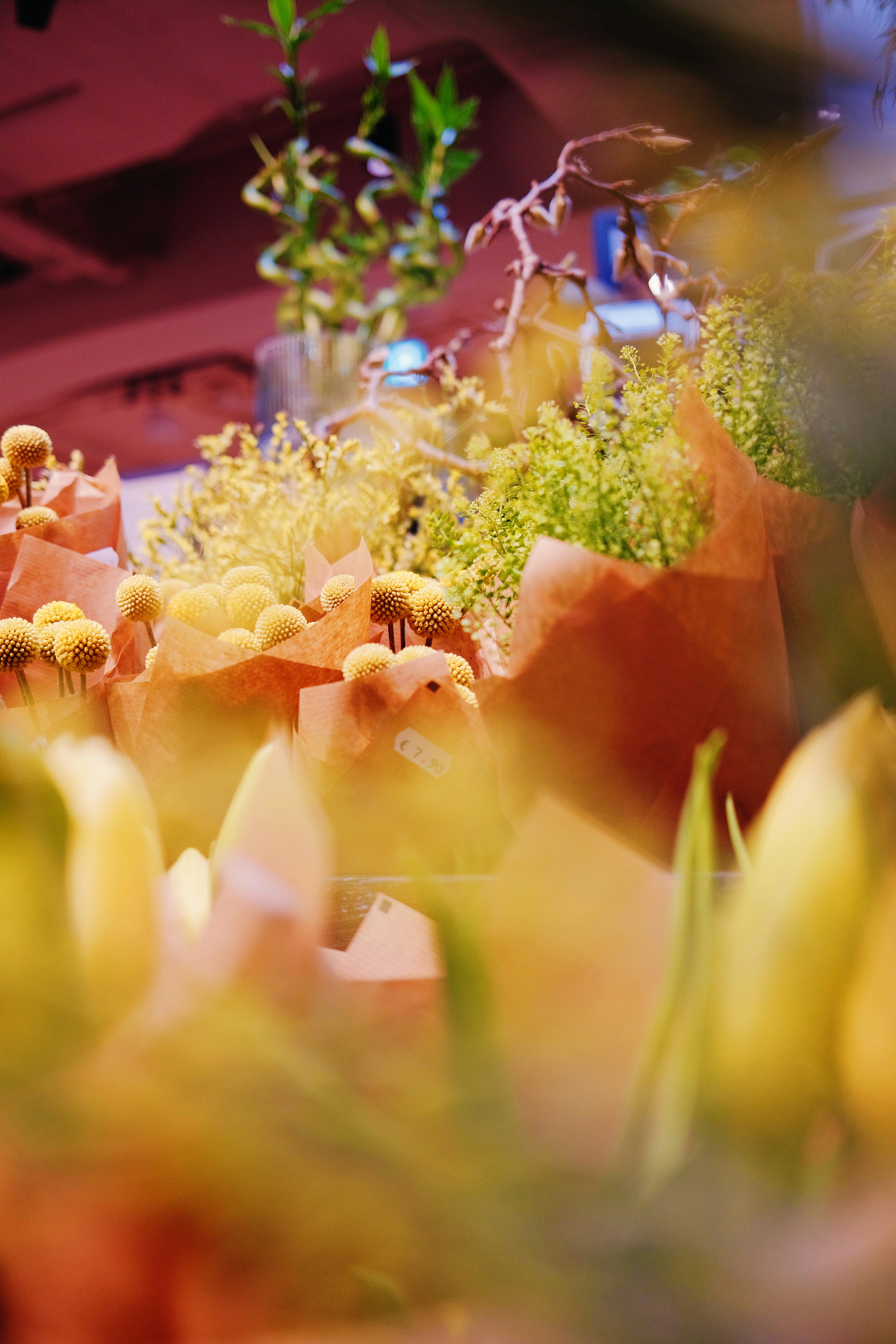 Whispers of Nature: A Floral Abundance