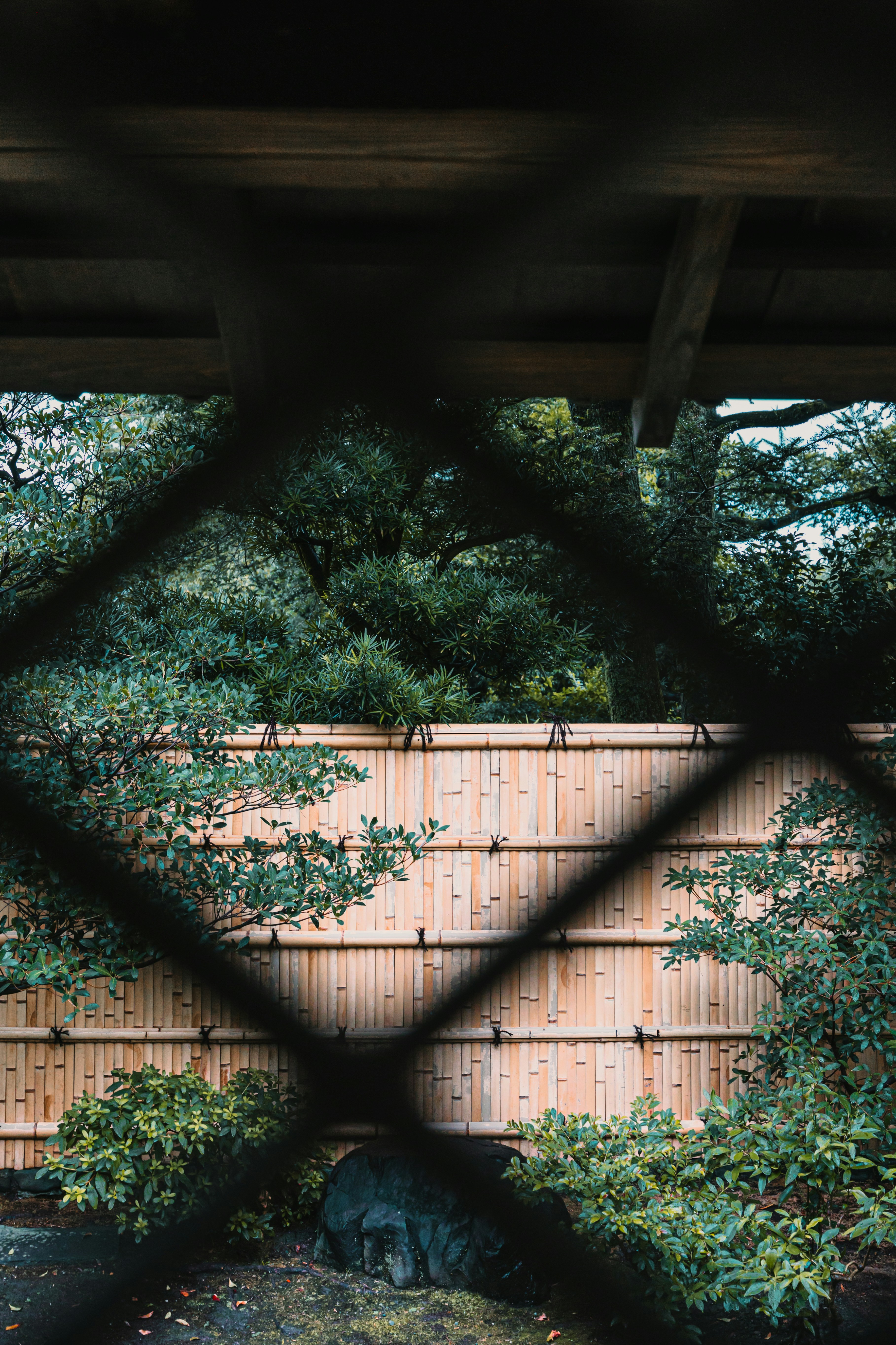 Bamboo fence surrounded by lush greenery, viewed through a lattice structure. A tranquil scene that invites contemplation.