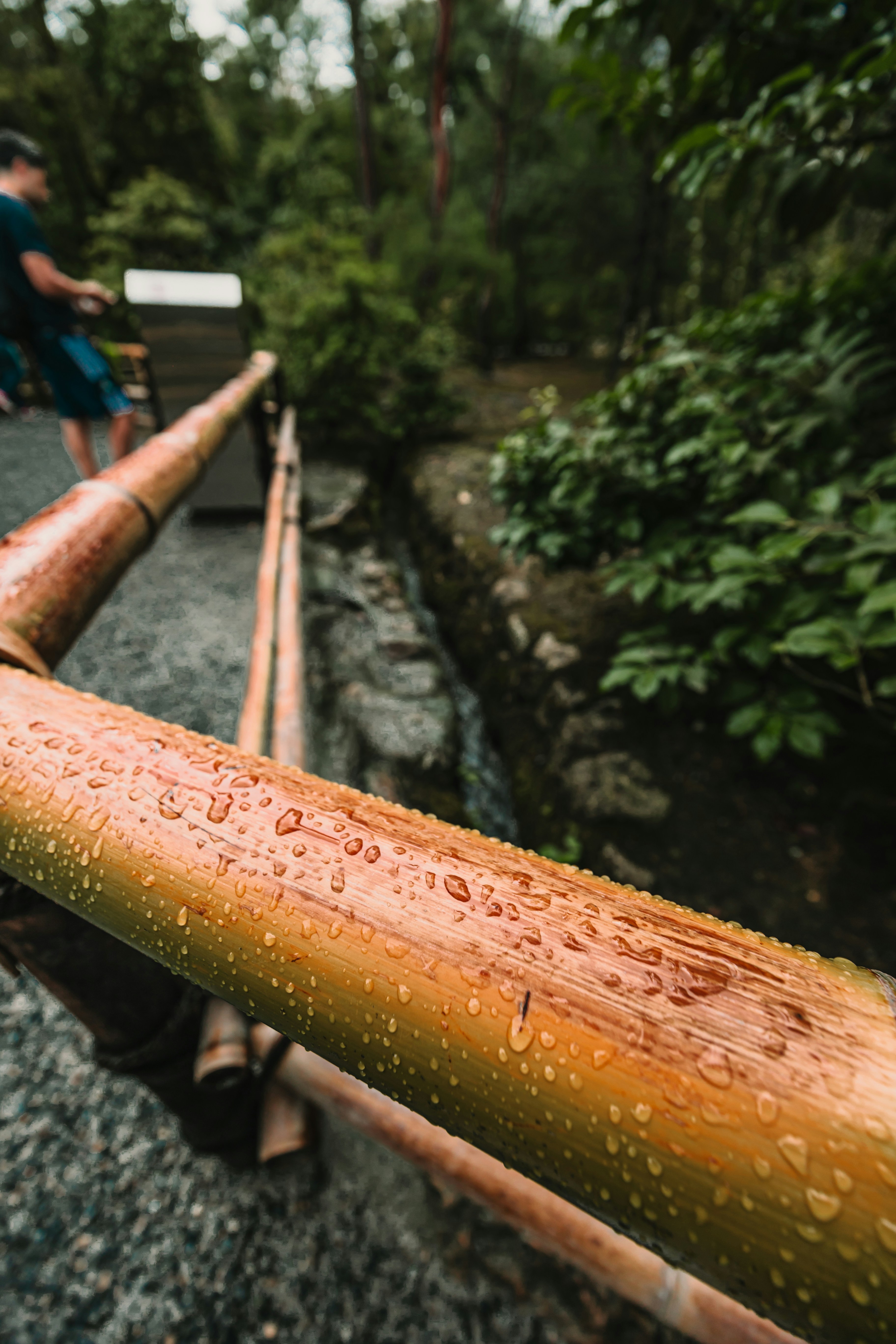 Wet bamboo railing with water flowing nearby.