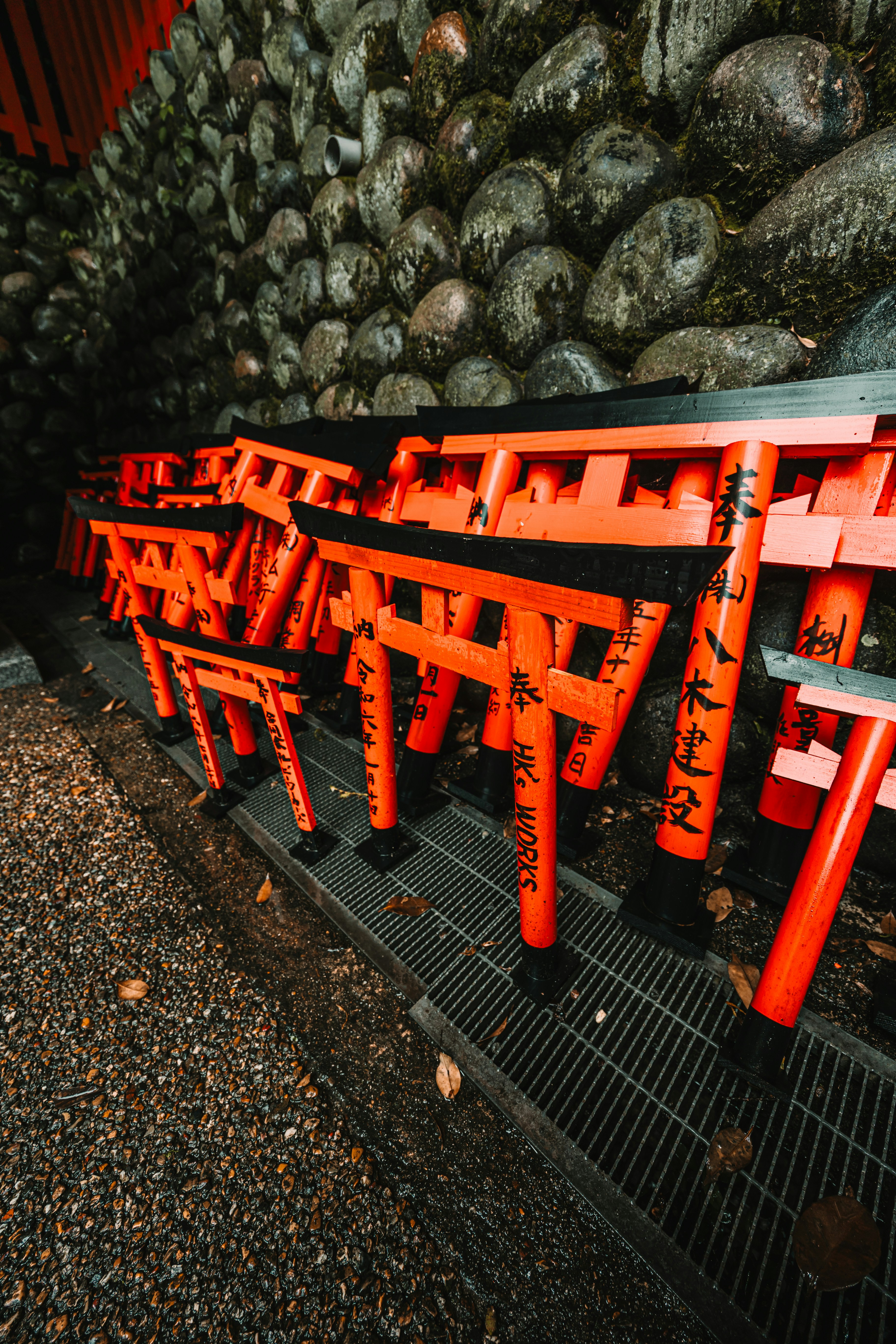 Whispers of Tradition: The Torii Collection
