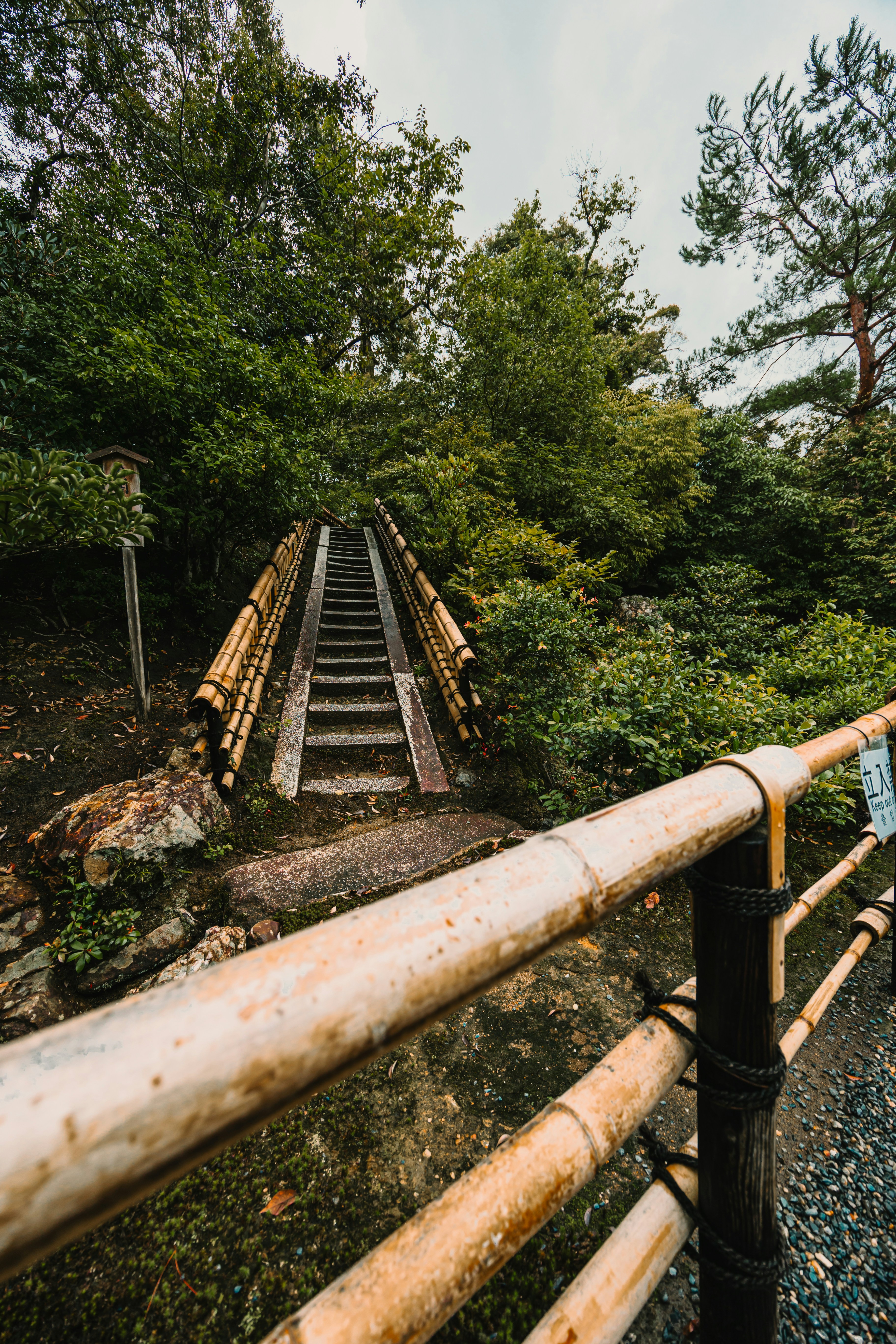 Pathway to Serenity: The Bamboo Steps