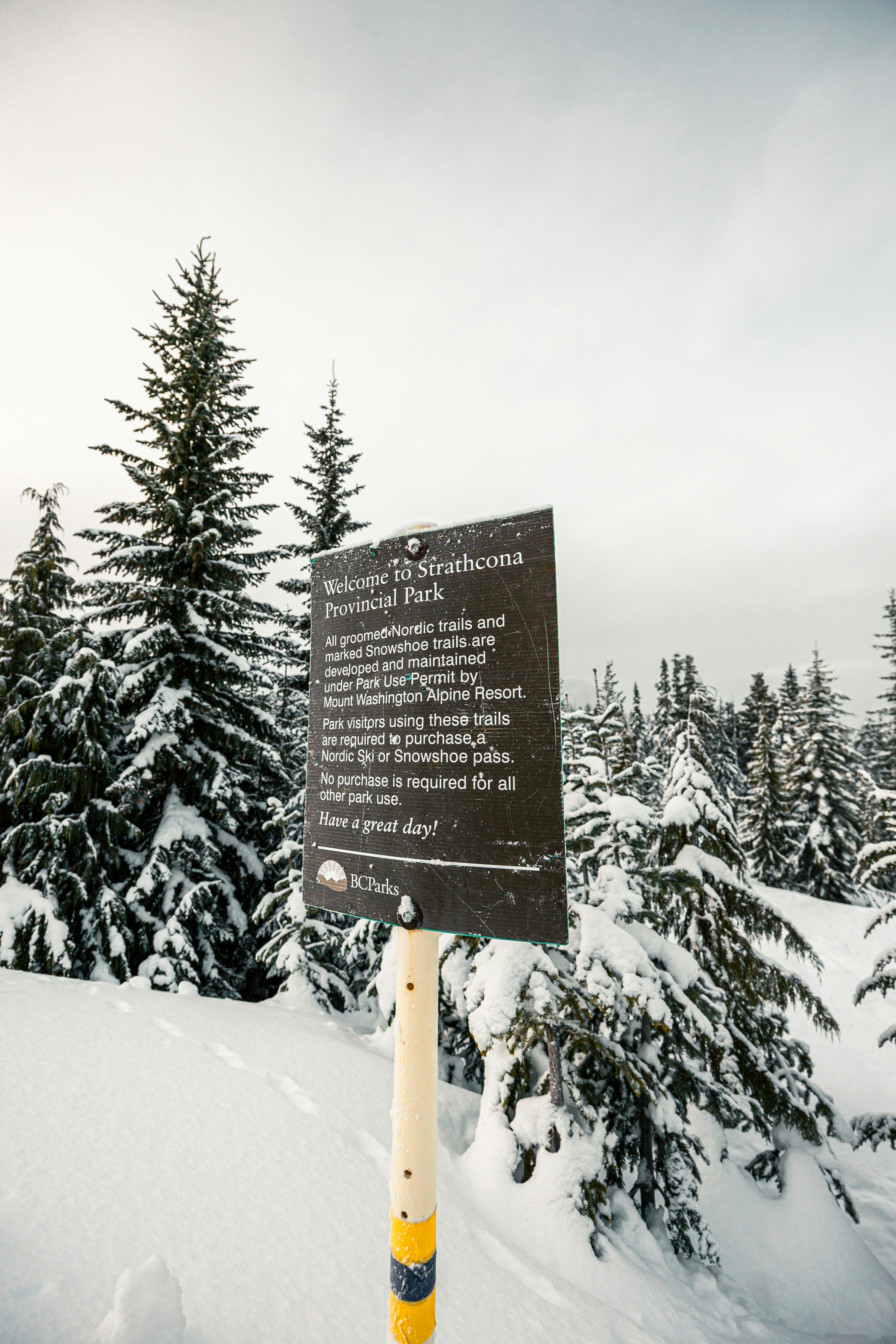 Winter Welcome: Snow-Clad Signpost in Strathcona Provincial Park