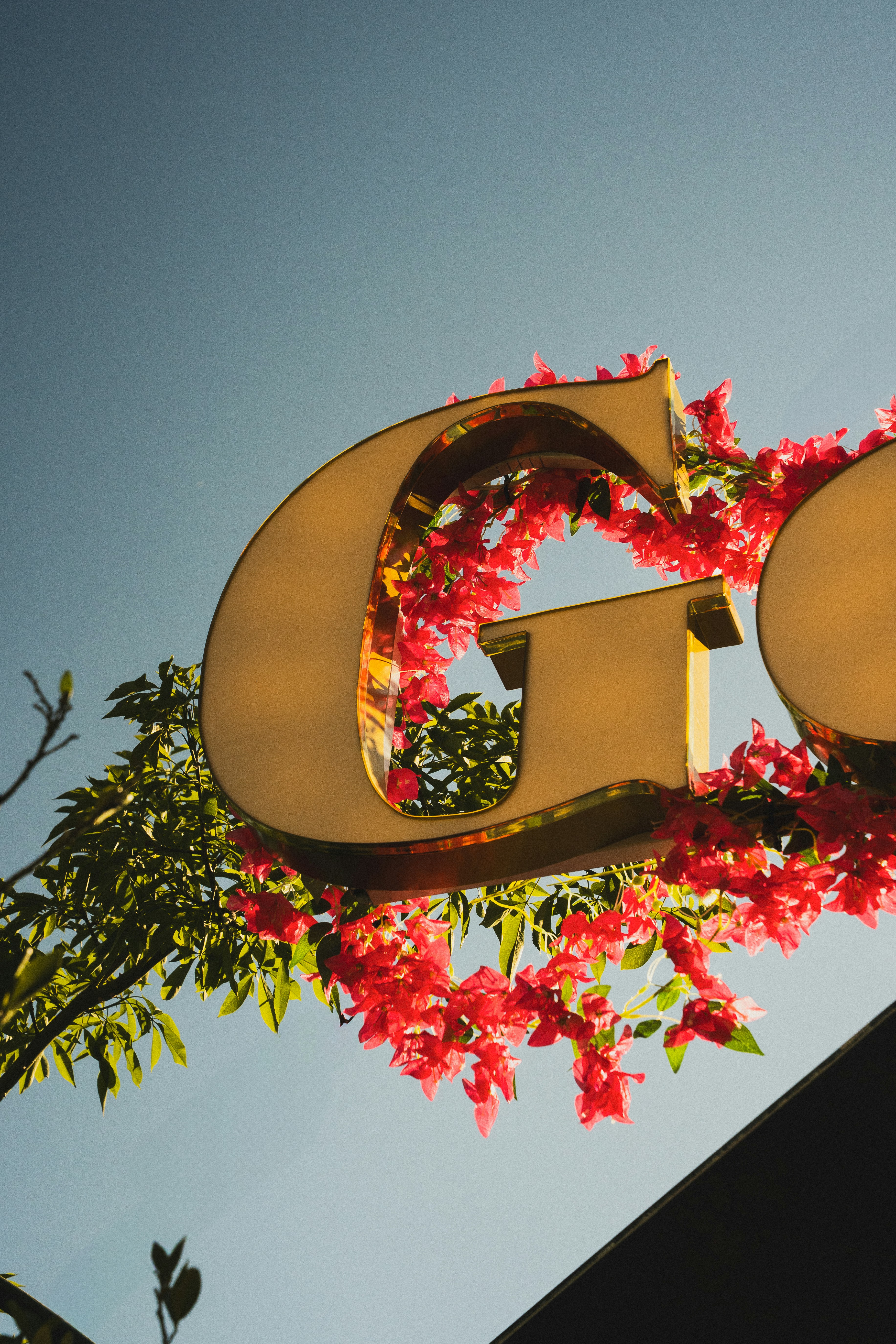 Photo by Benjamin Jauregui with Sony Alpha 7 III