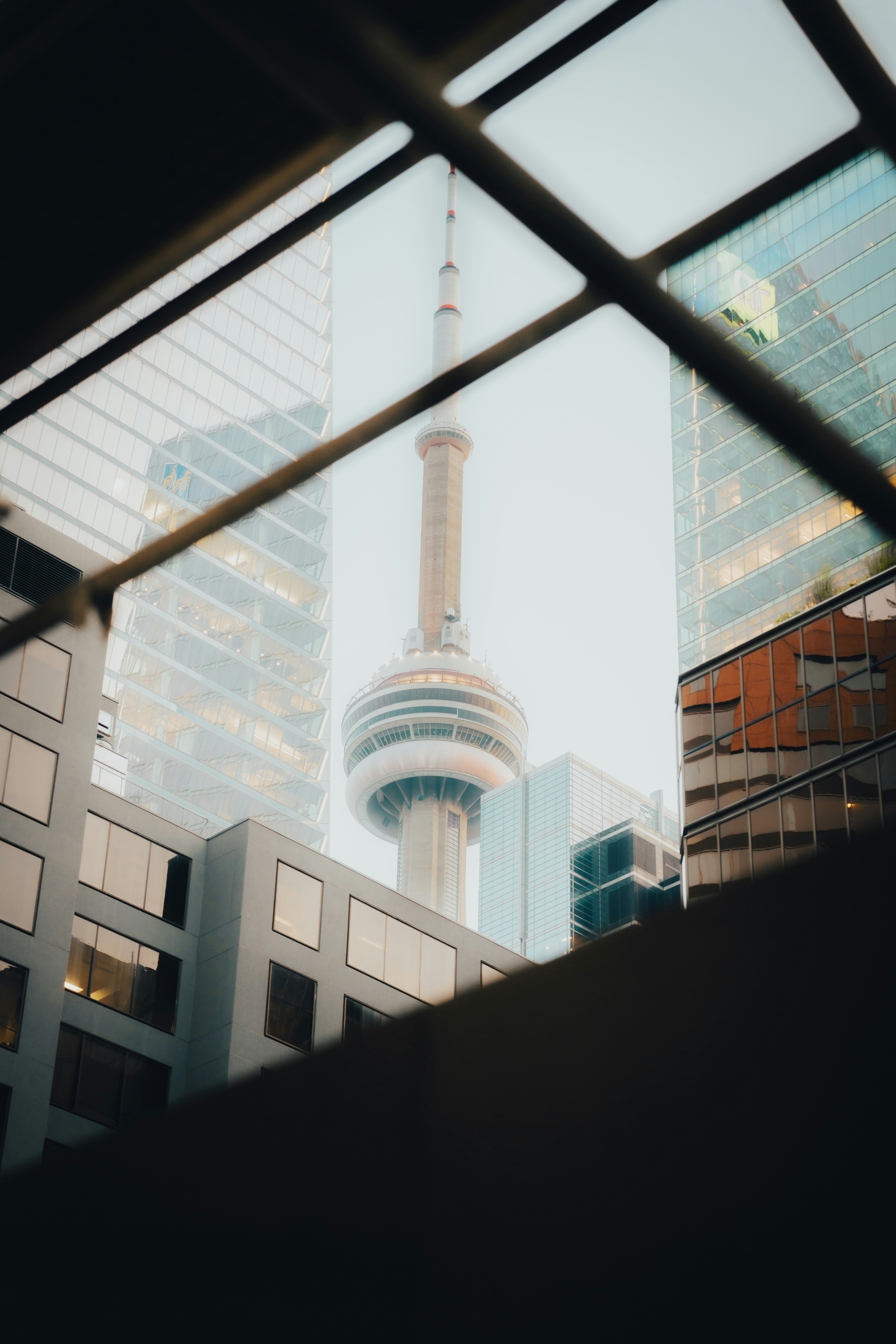 Cn tower viewed through city buildings