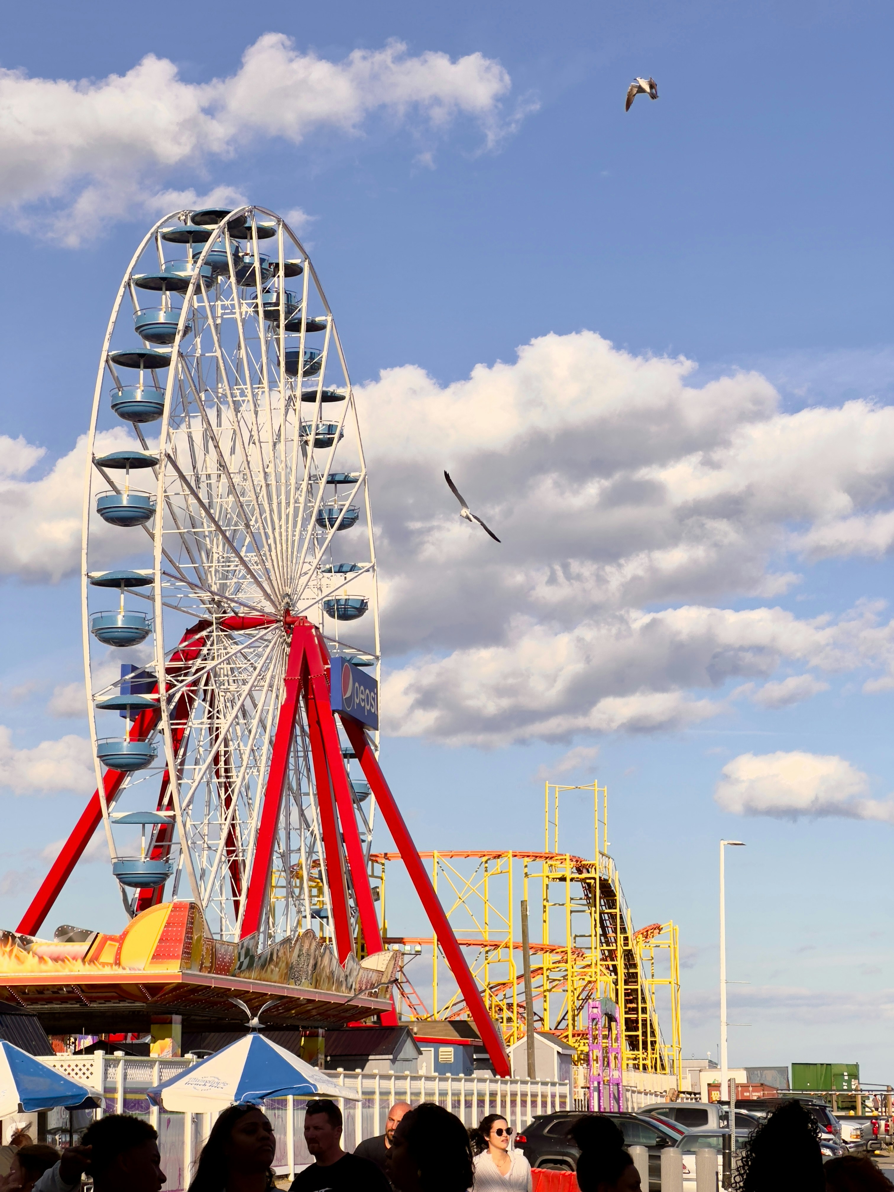 Ferris wheel and roller coaster at amusement park photo – Free Summer ...