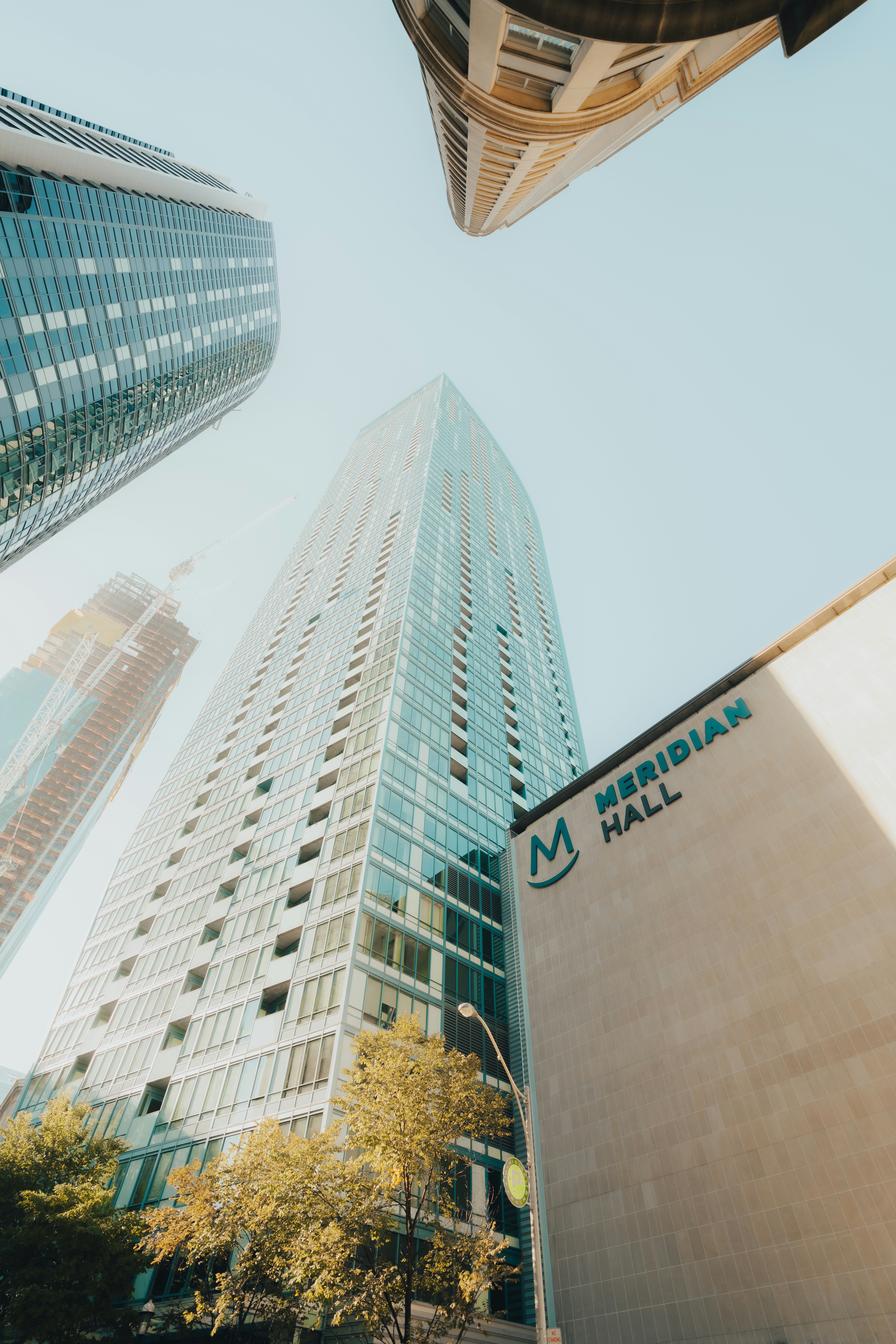 Vertical Perspectives: The Urban Canopy