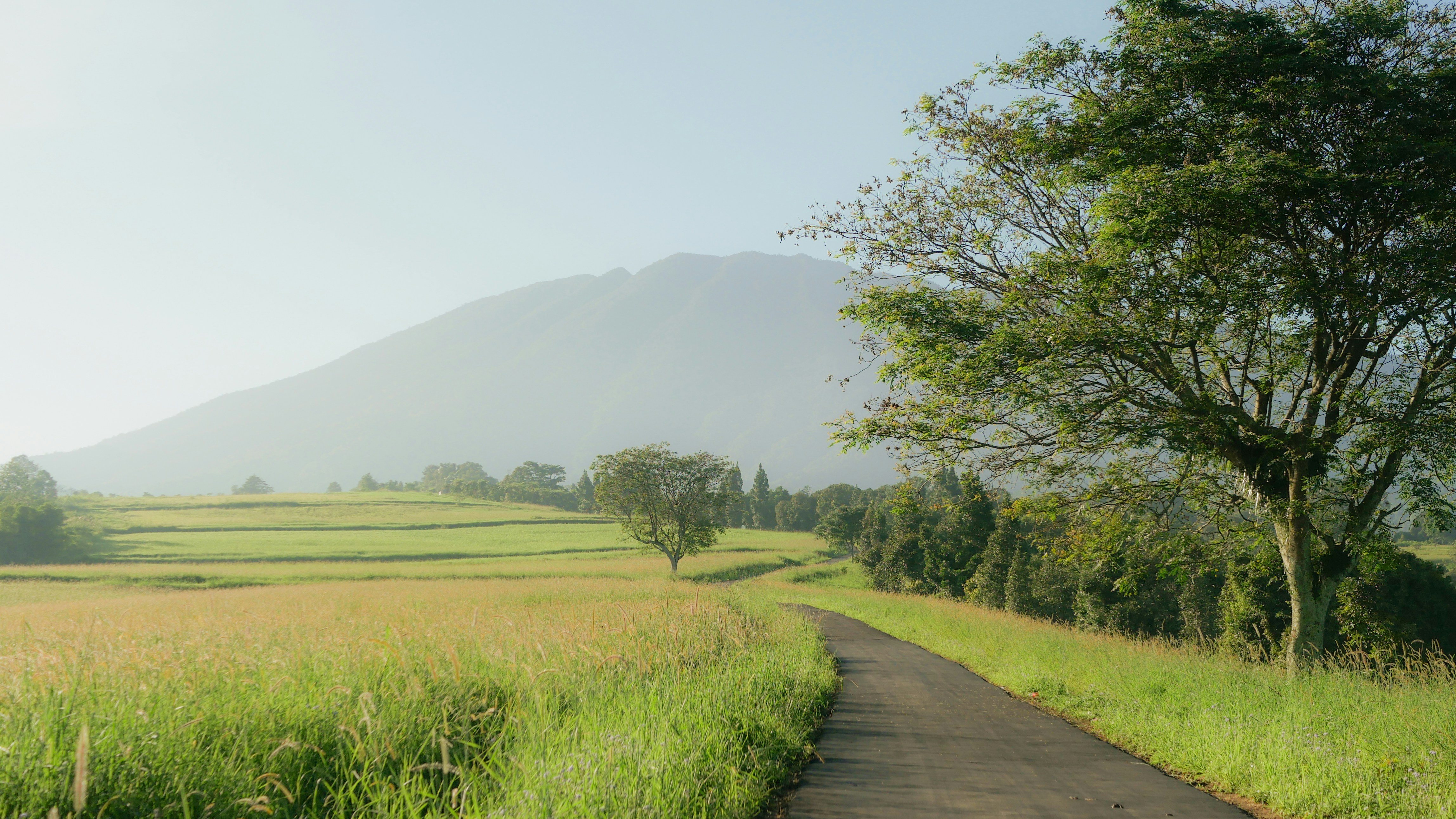 Pathway Through Tranquil Fields