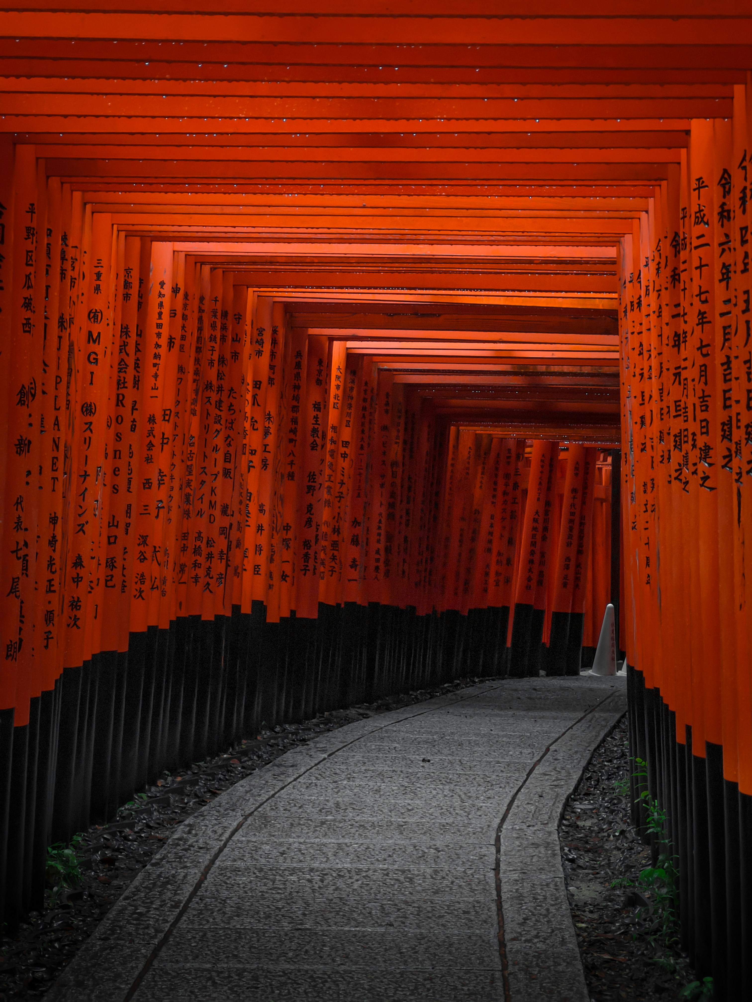 Pathway Through Time: A Journey of Torii Gates