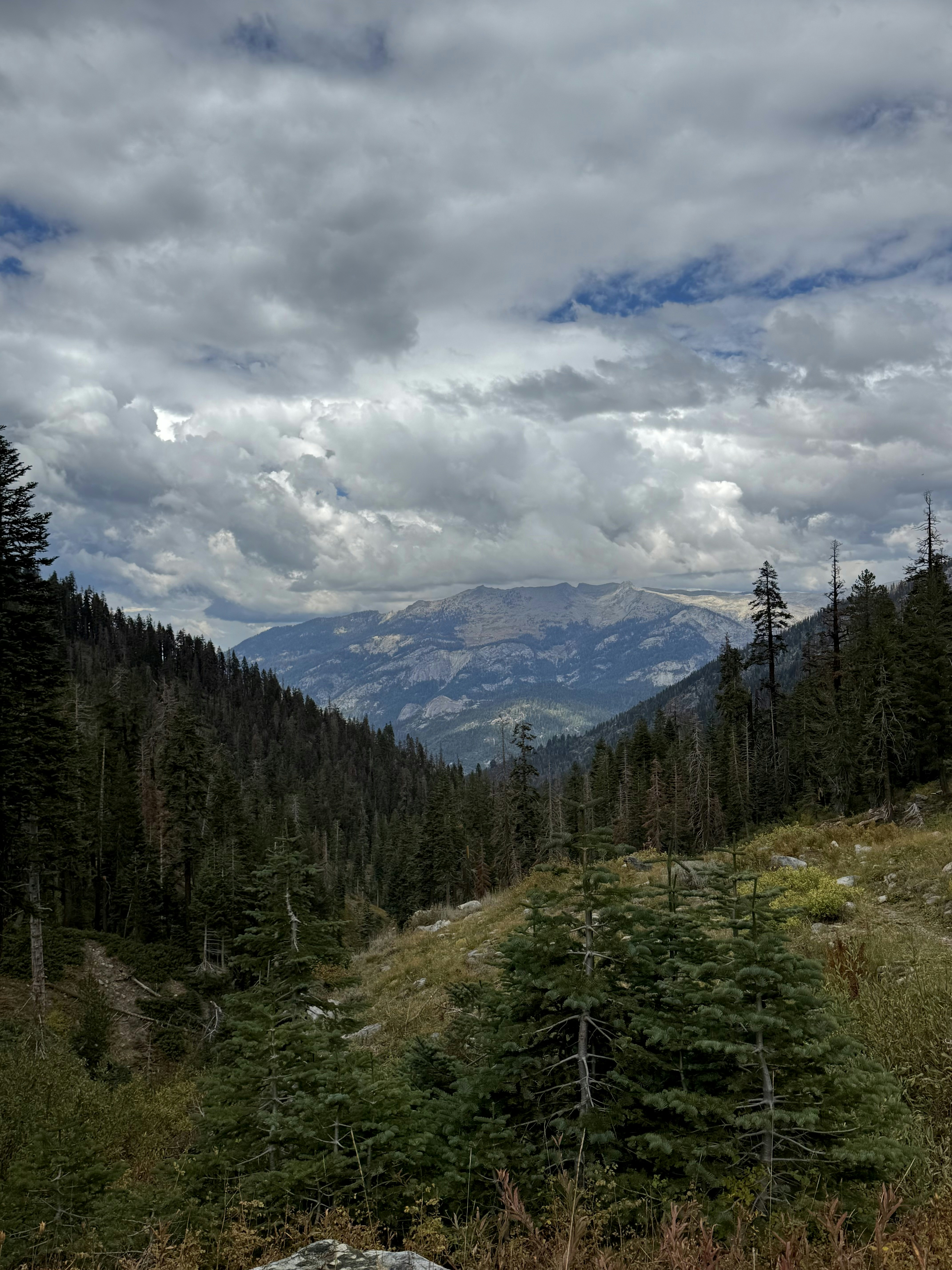 Whispers of the Wilderness: A Mountain's Embrace