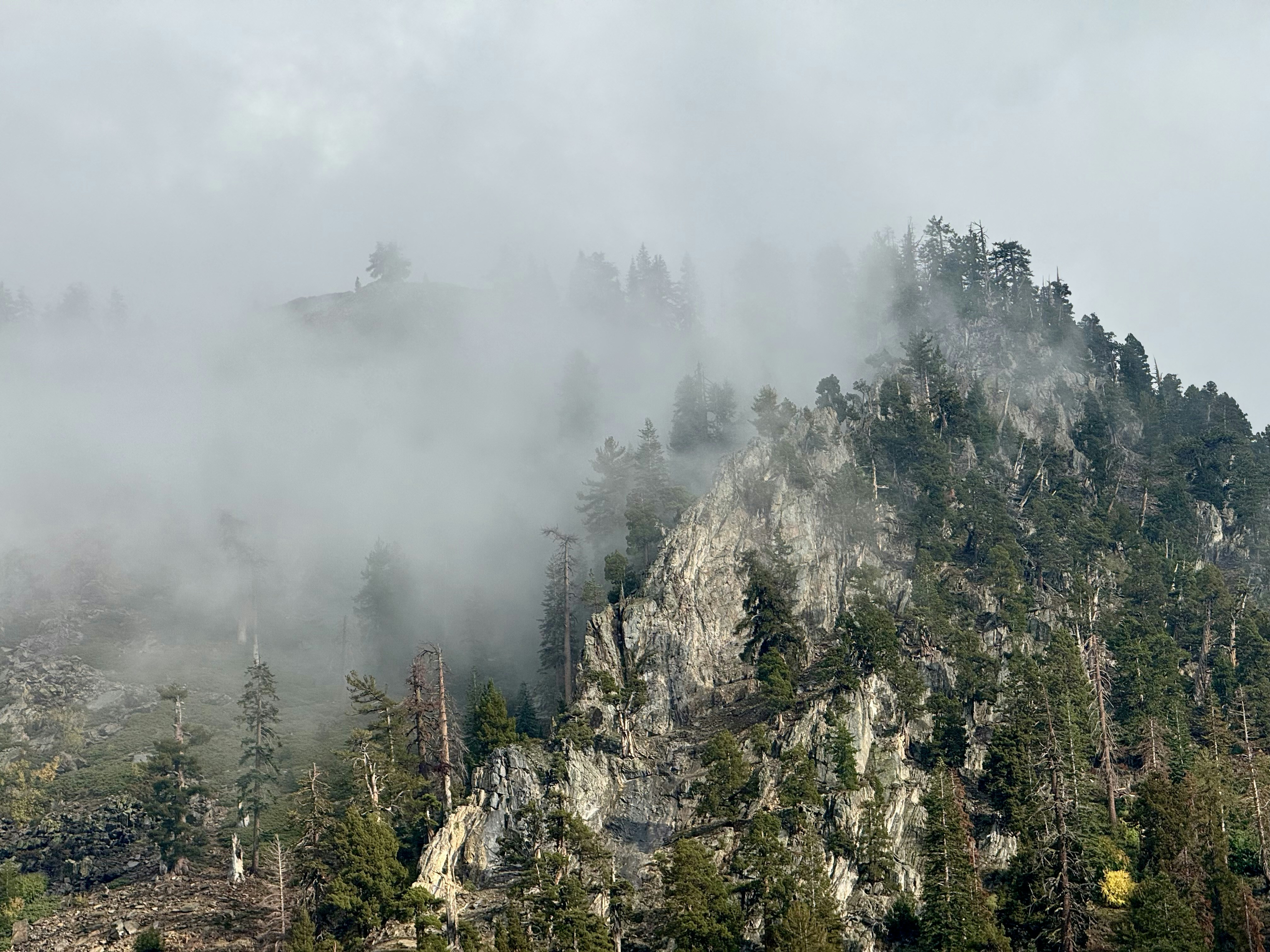 Whispers of the Misty Peaks