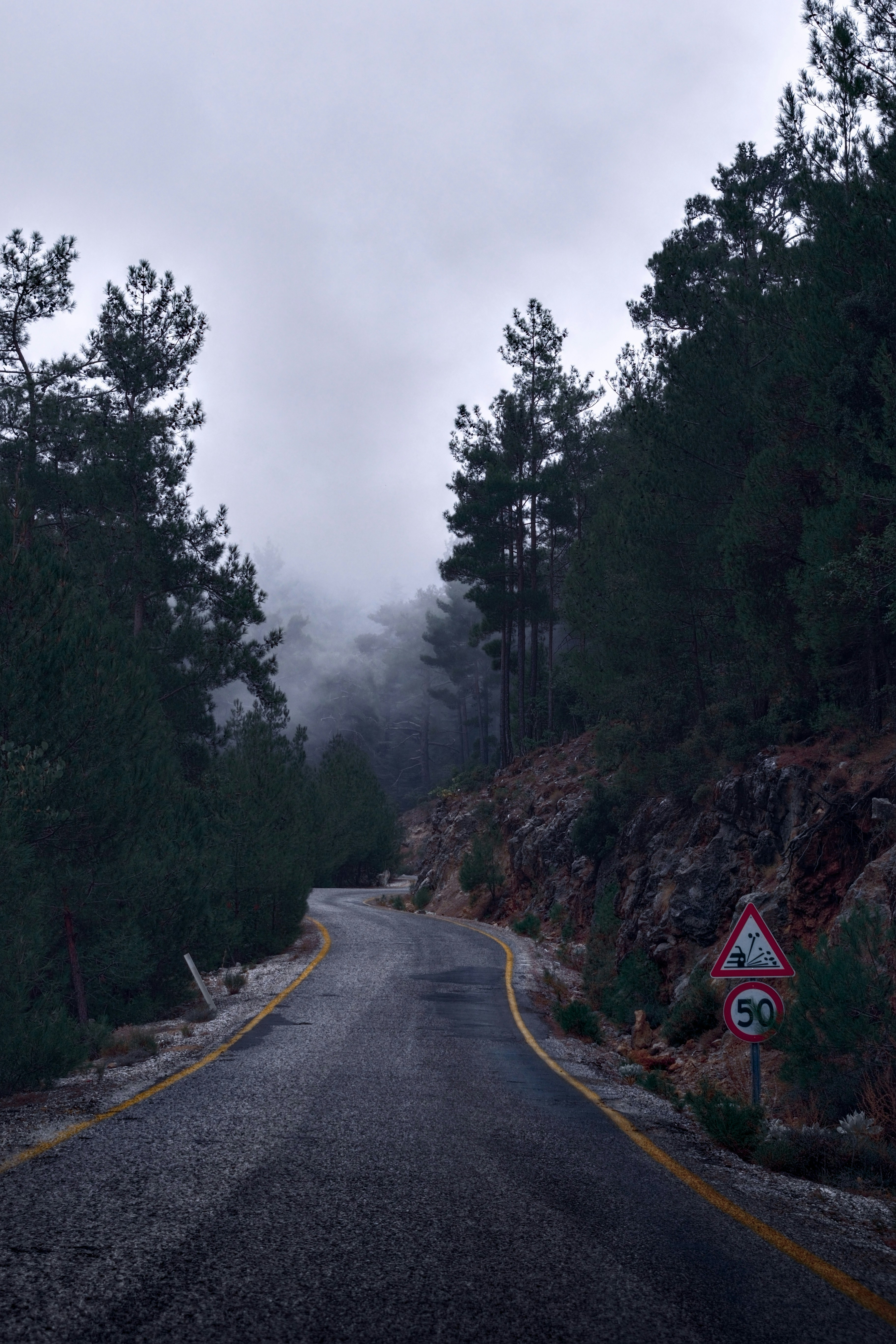 Whispers of the Foggy Road