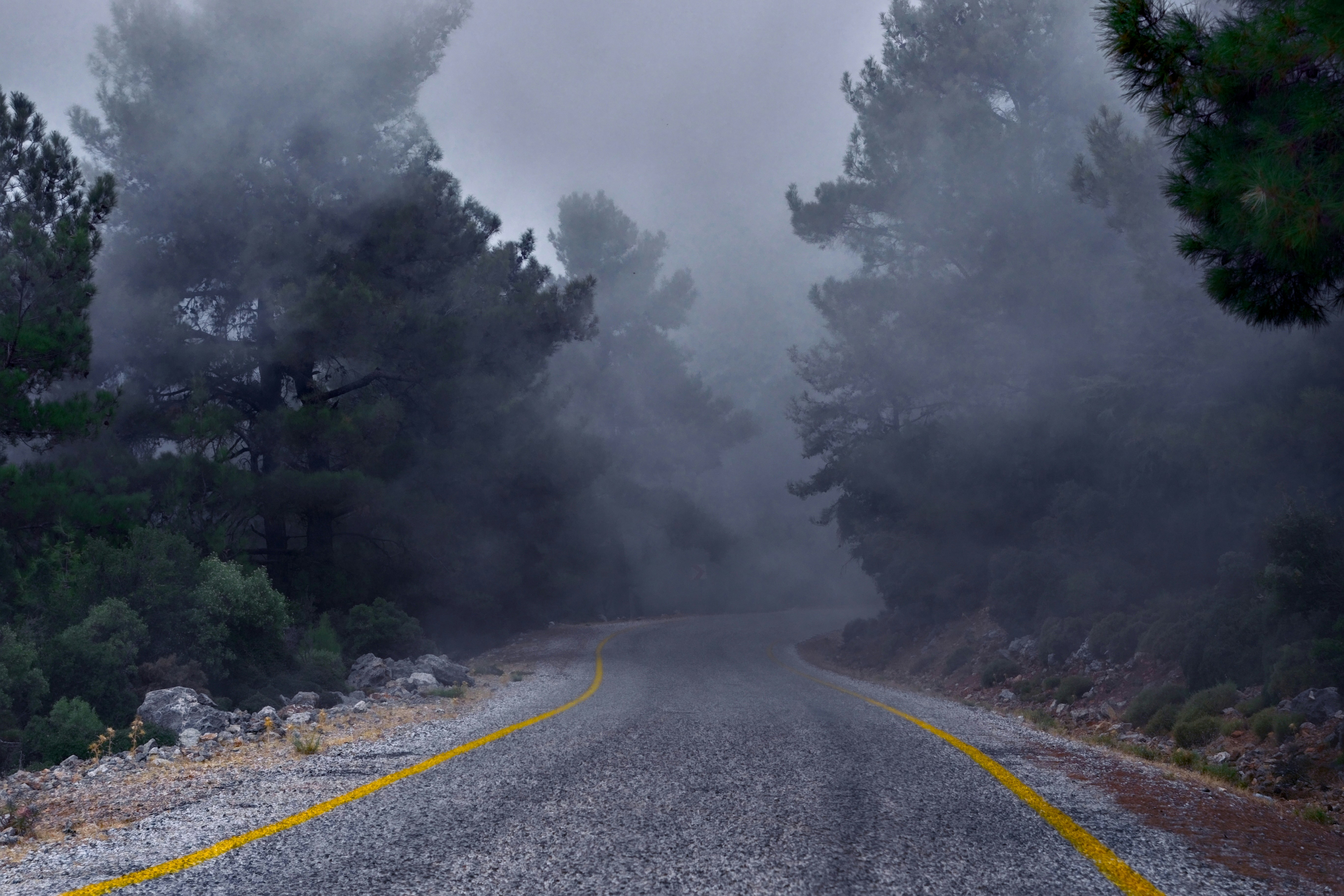 Whispers of the Misty Road