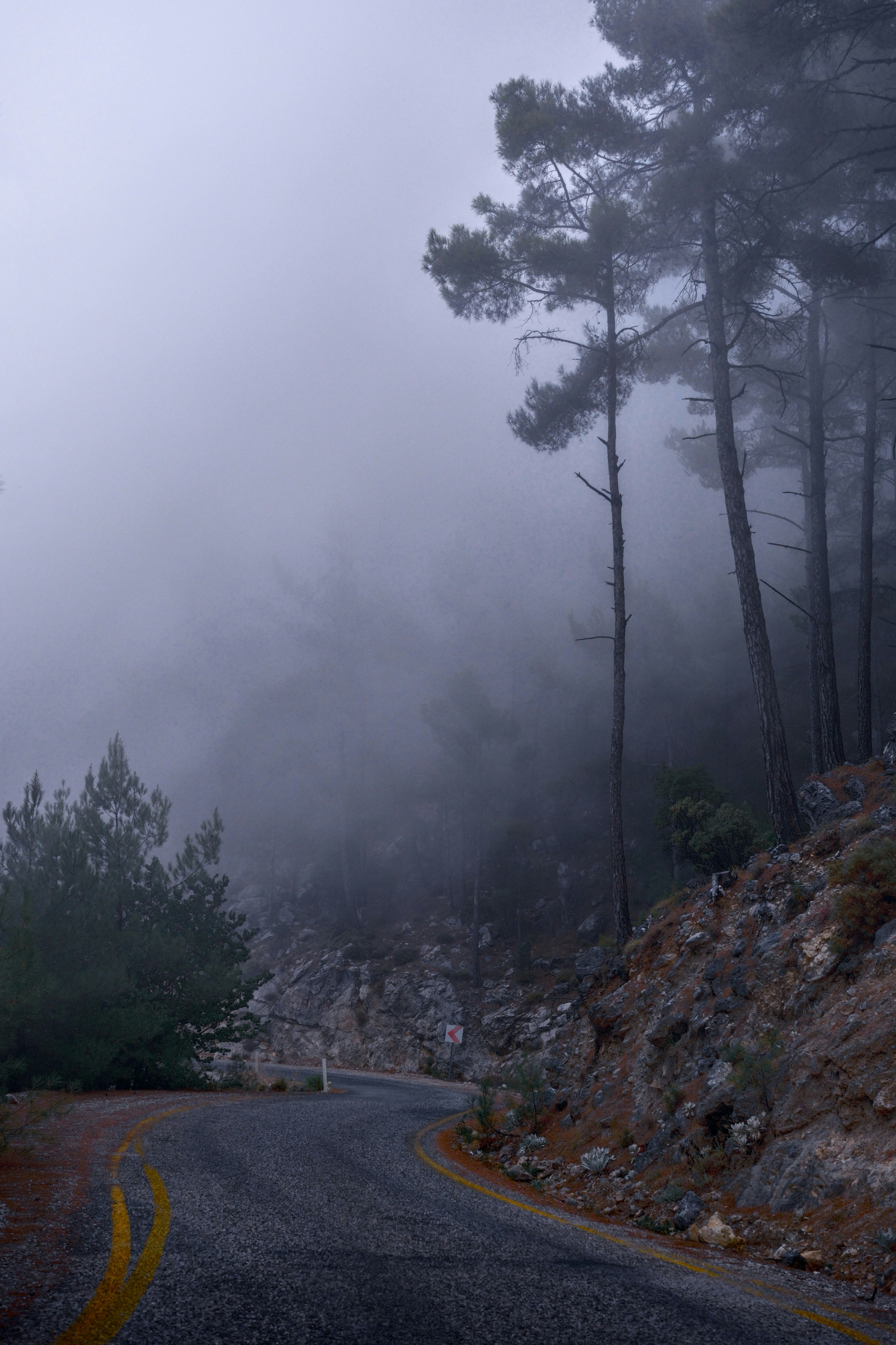 Whispers of the Misty Road