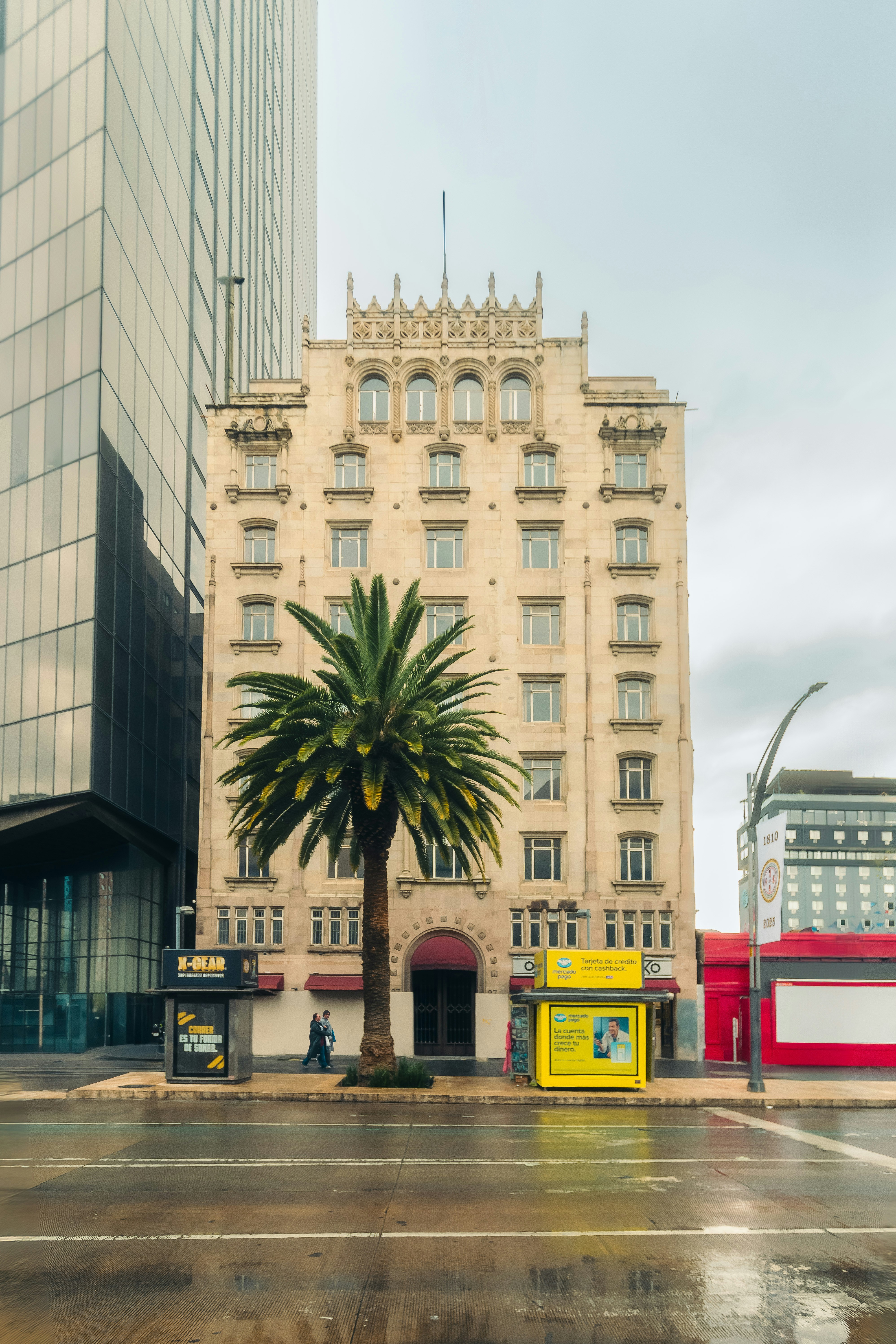 Urban Contrast: Nature Meets Architecture