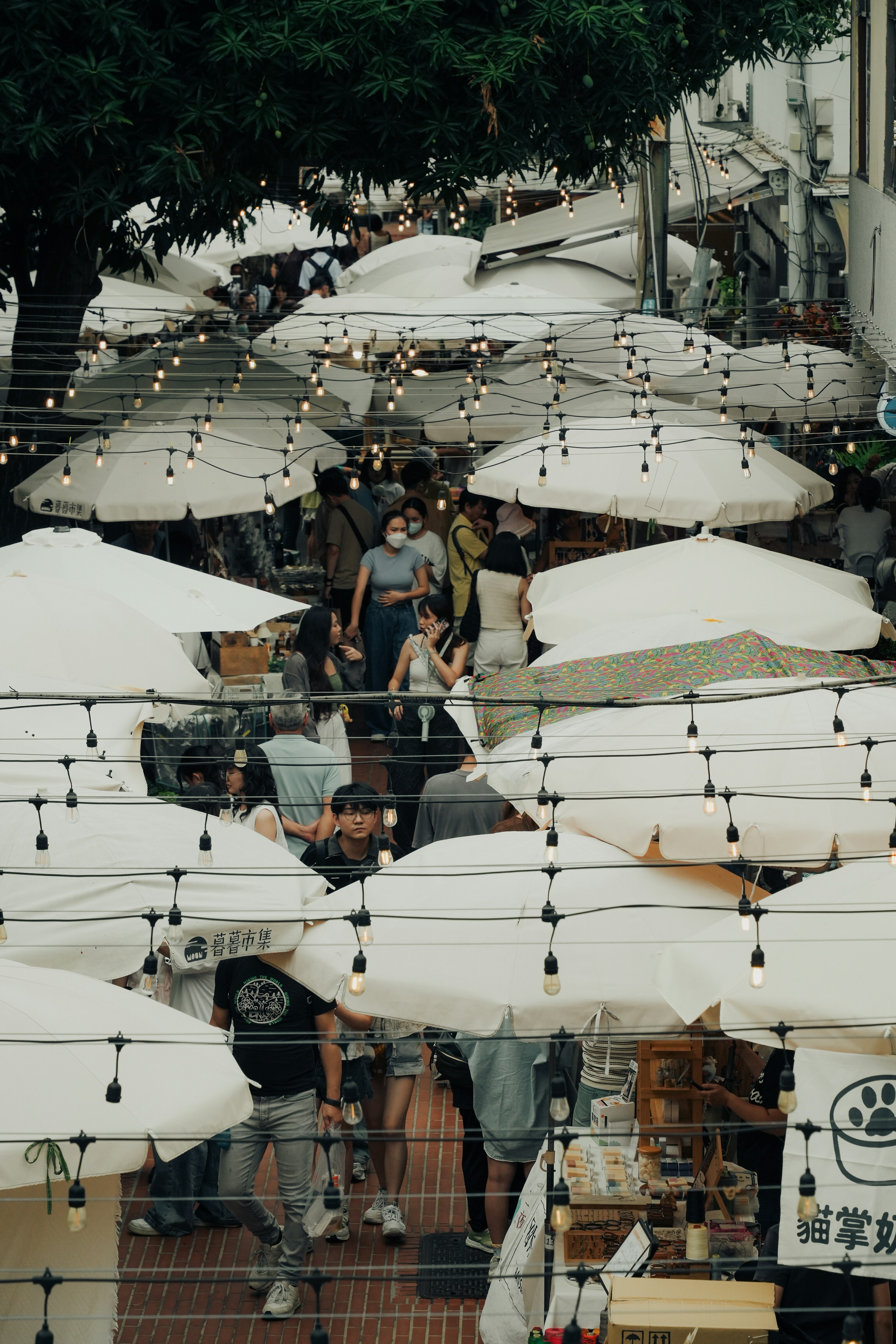 People browse stalls under white umbrellas and string lights. photo ...