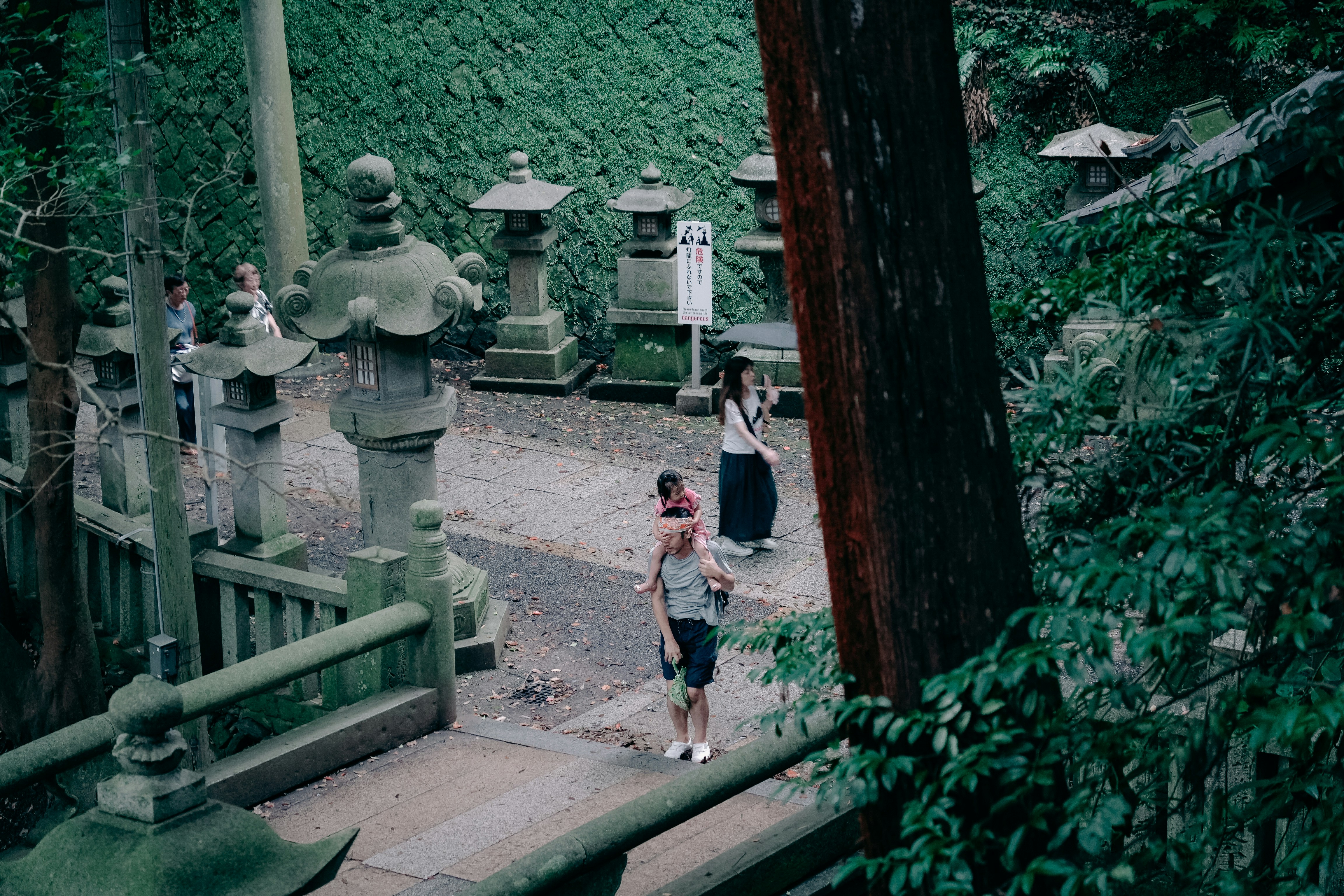 Moss-Draped Lanterns and a Quiet Path: A Shrine Visit in Soft Light