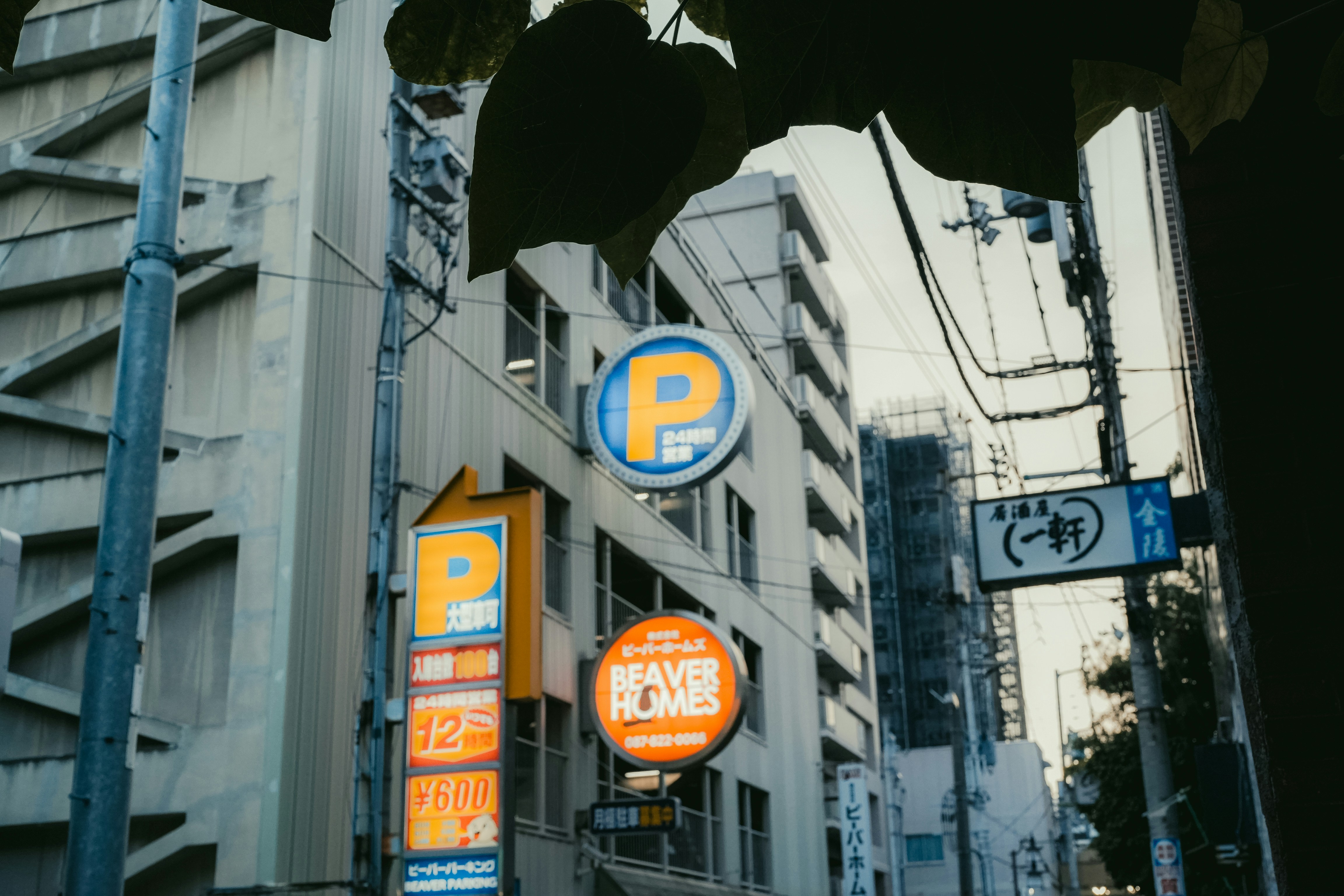 Blue Parking Sign Crowned by Neon: A Tight Urban Signage Scene