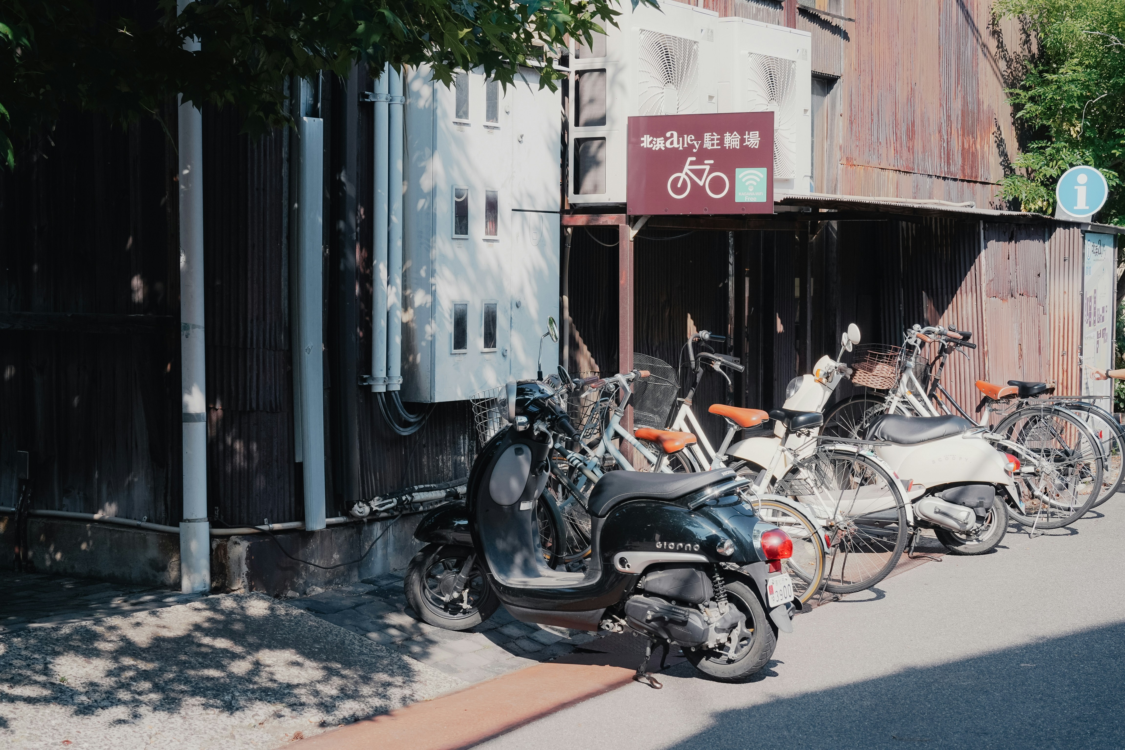 Urban Harmony: Two-Wheeled Companions in a Vintage Setting