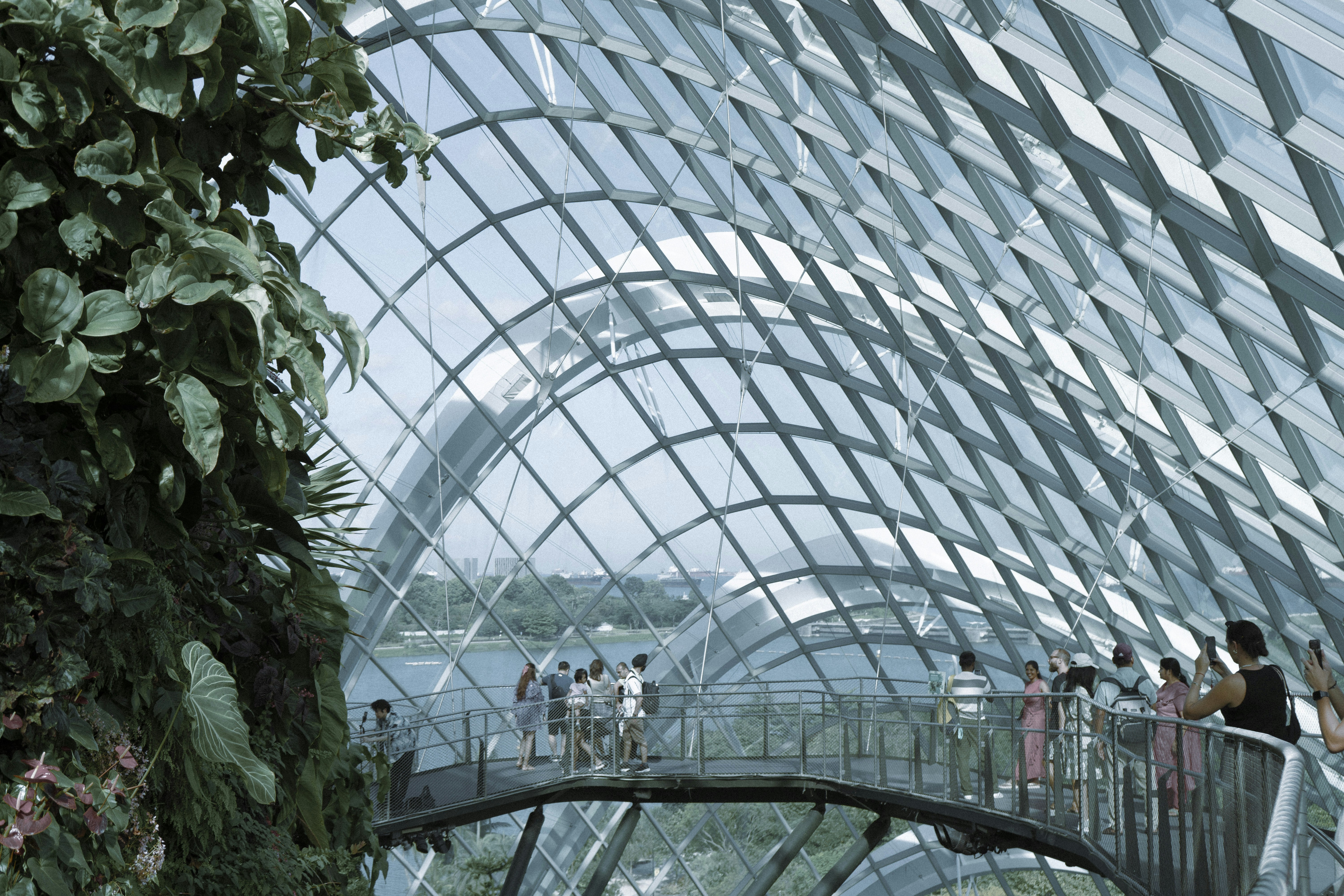 Visitors explore a modern greenhouse with a striking glass structure and lush greenery. The interplay of natural and architectural elements creates a serene atmosphere.