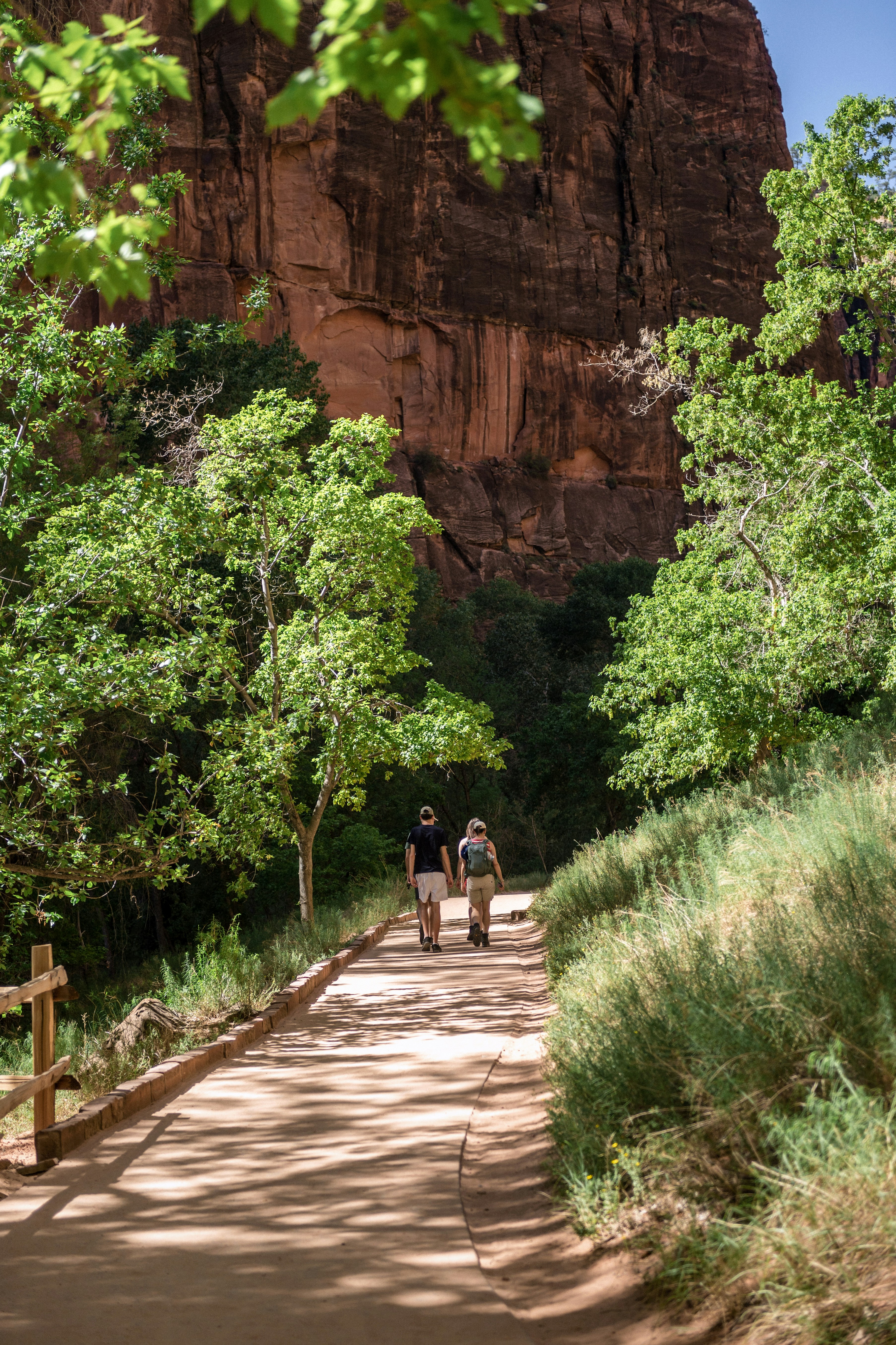 Journey Through Nature's Embrace