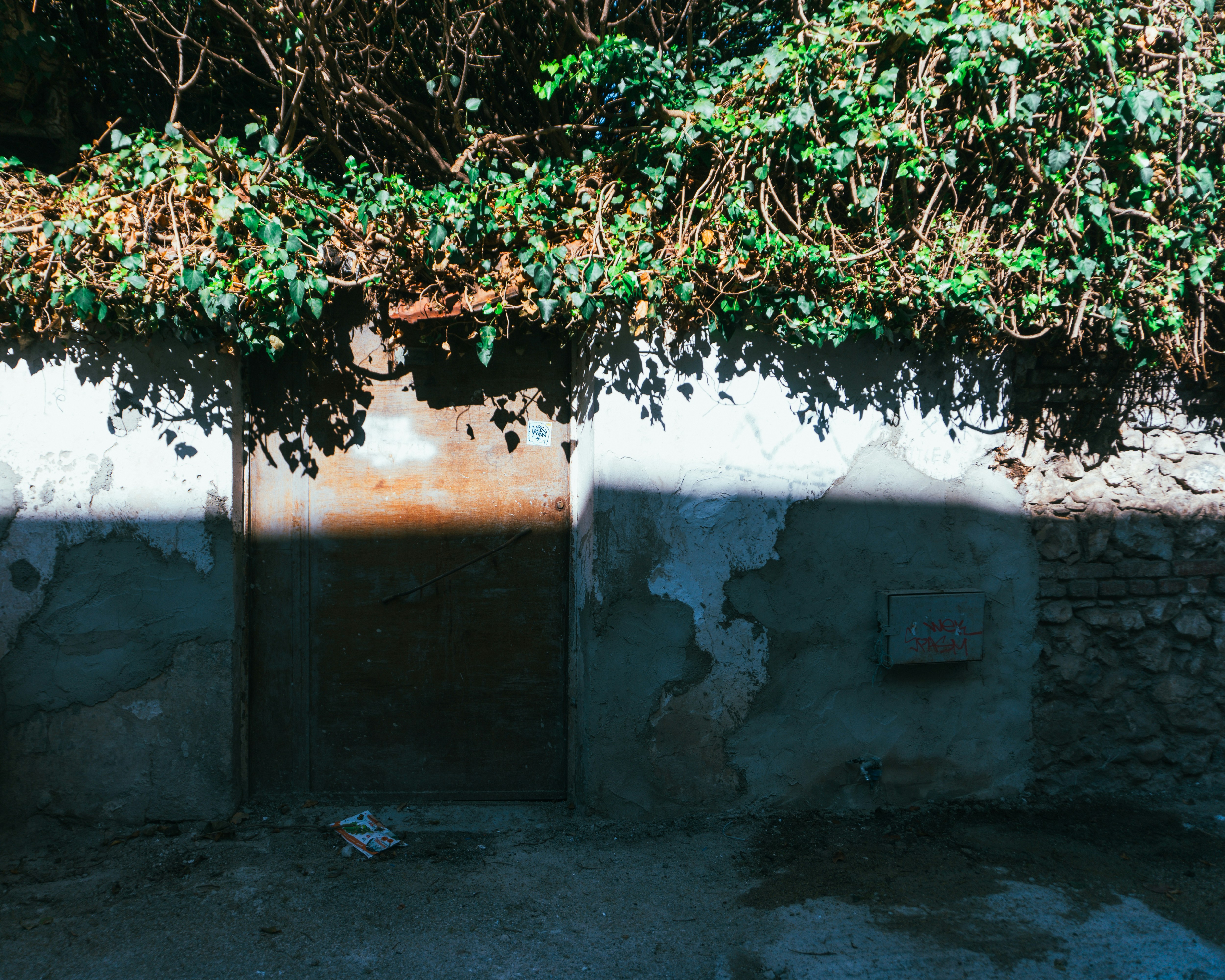 Overgrown ivy covers a rustic doorway in a weathered wall.