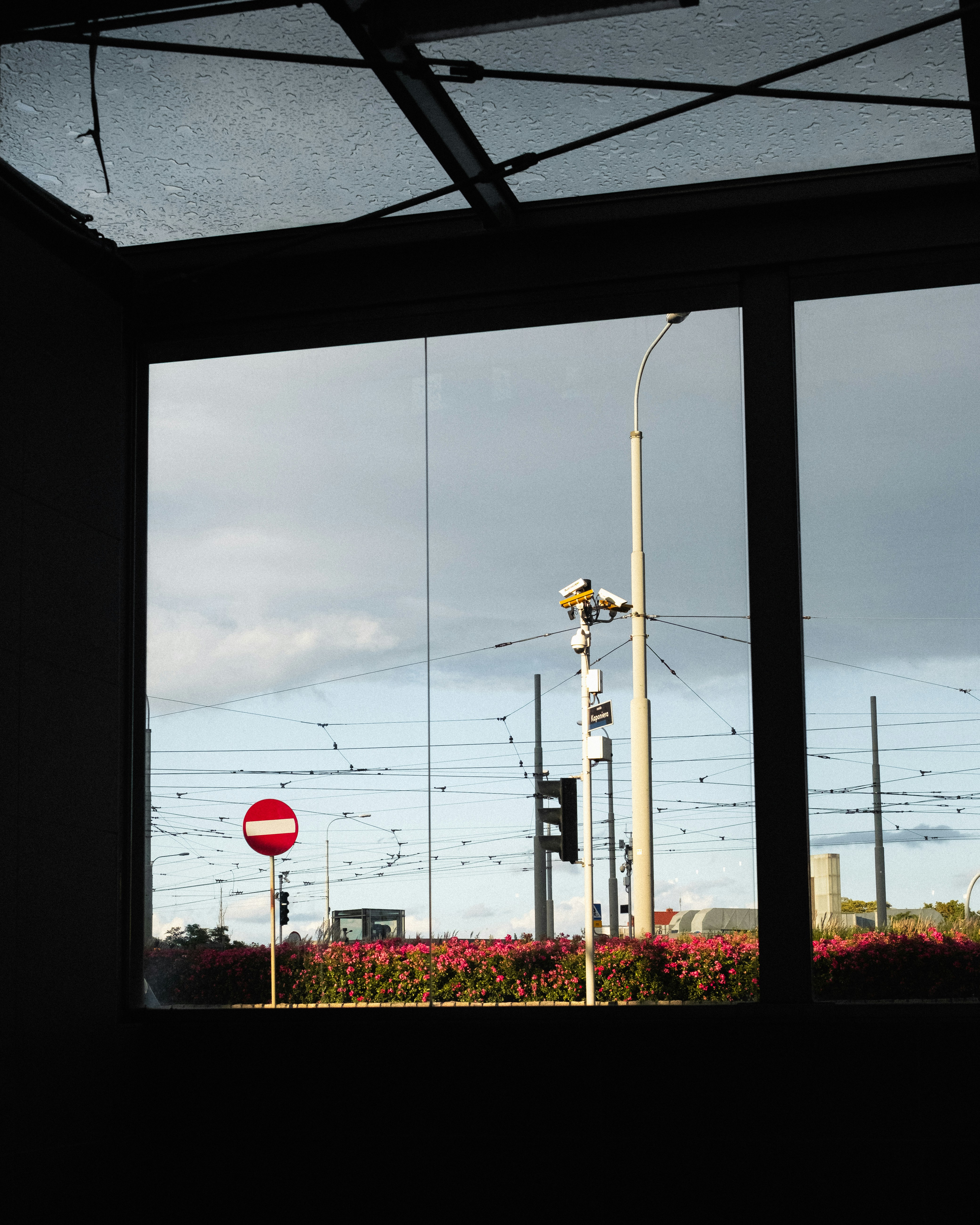 Urban Reflections: A Glimpse Through Glass
