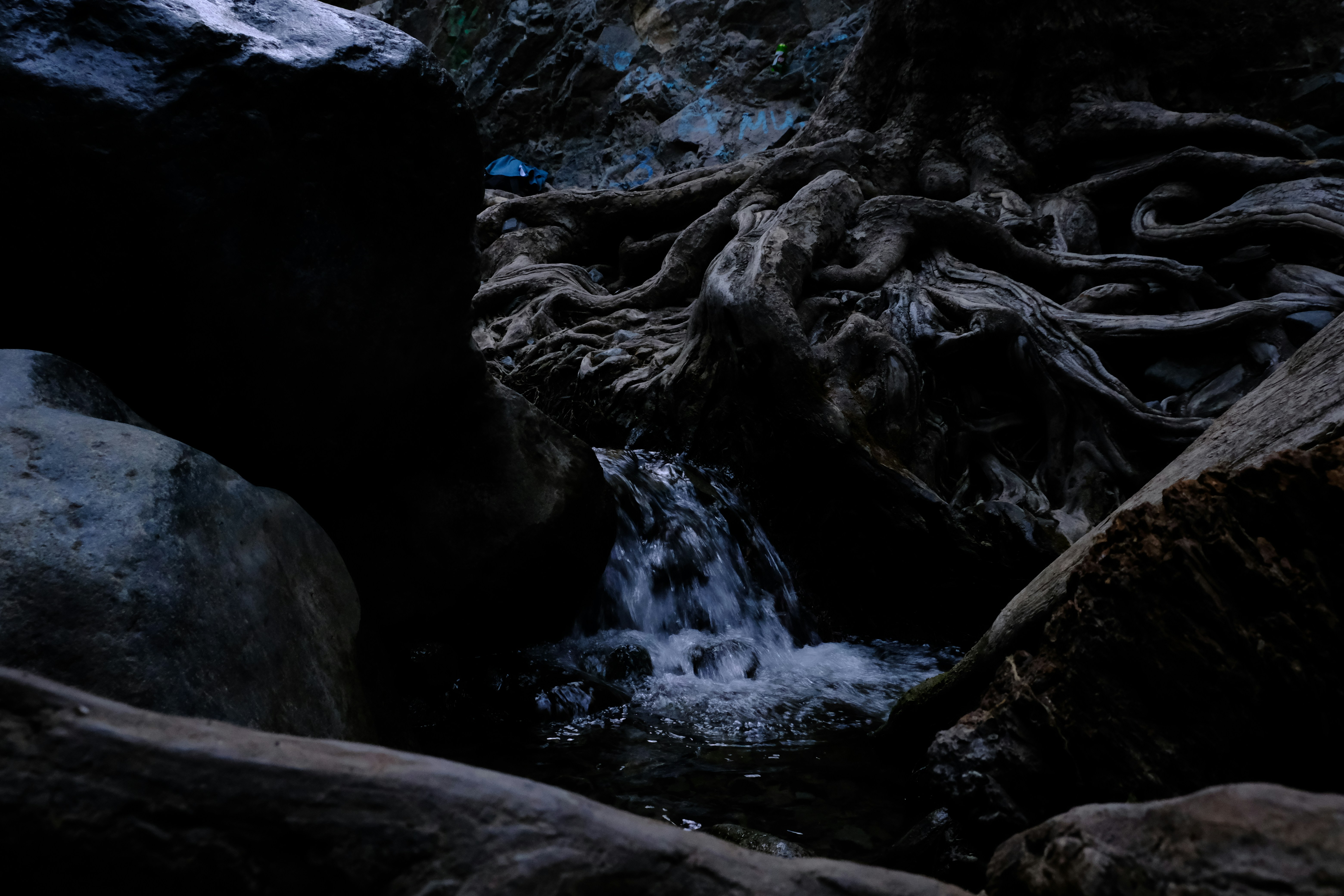 Trickling water flows between ancient roots and stones in a secluded forest setting.