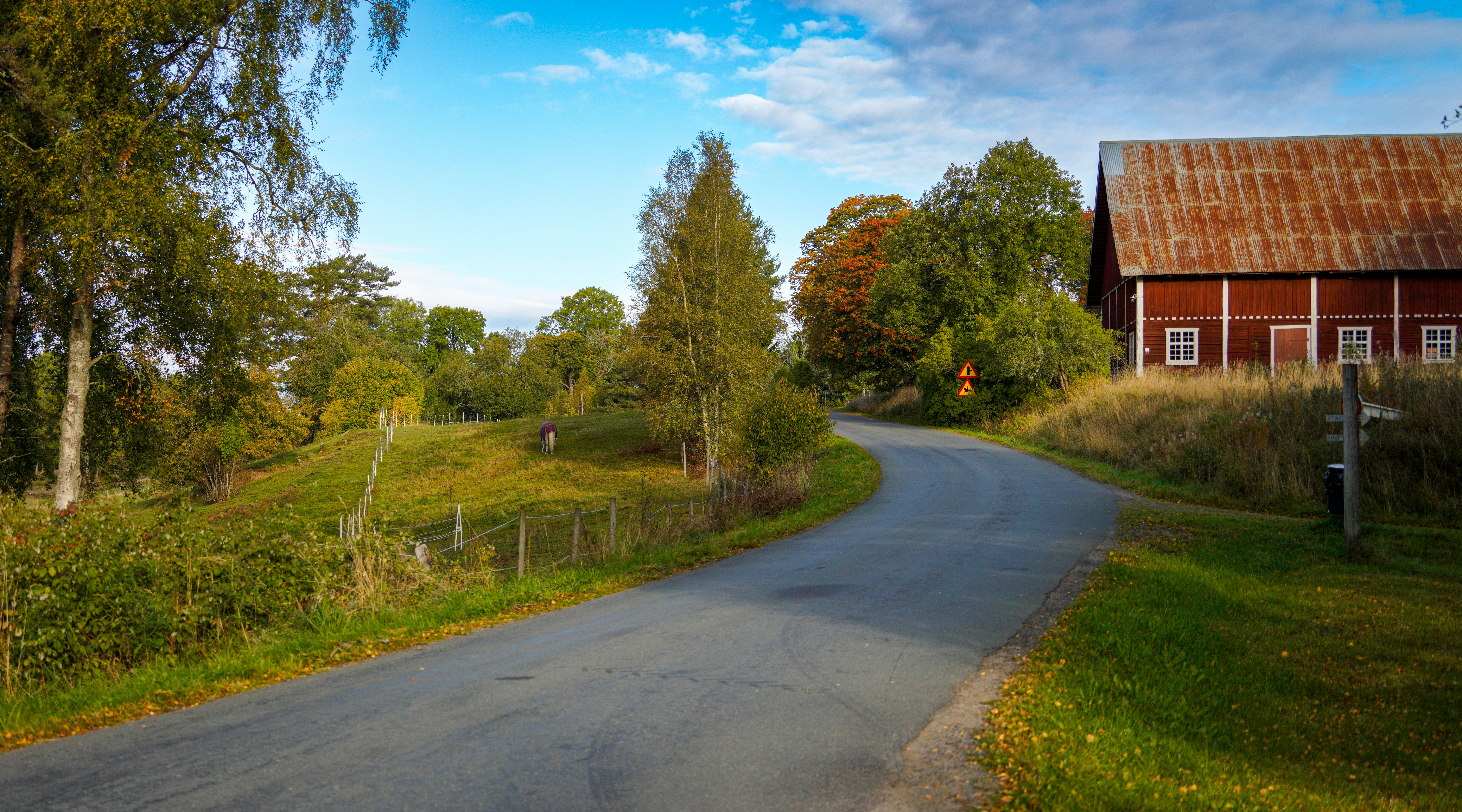 Quiet Bend Through a Sunlit Rural Landscape