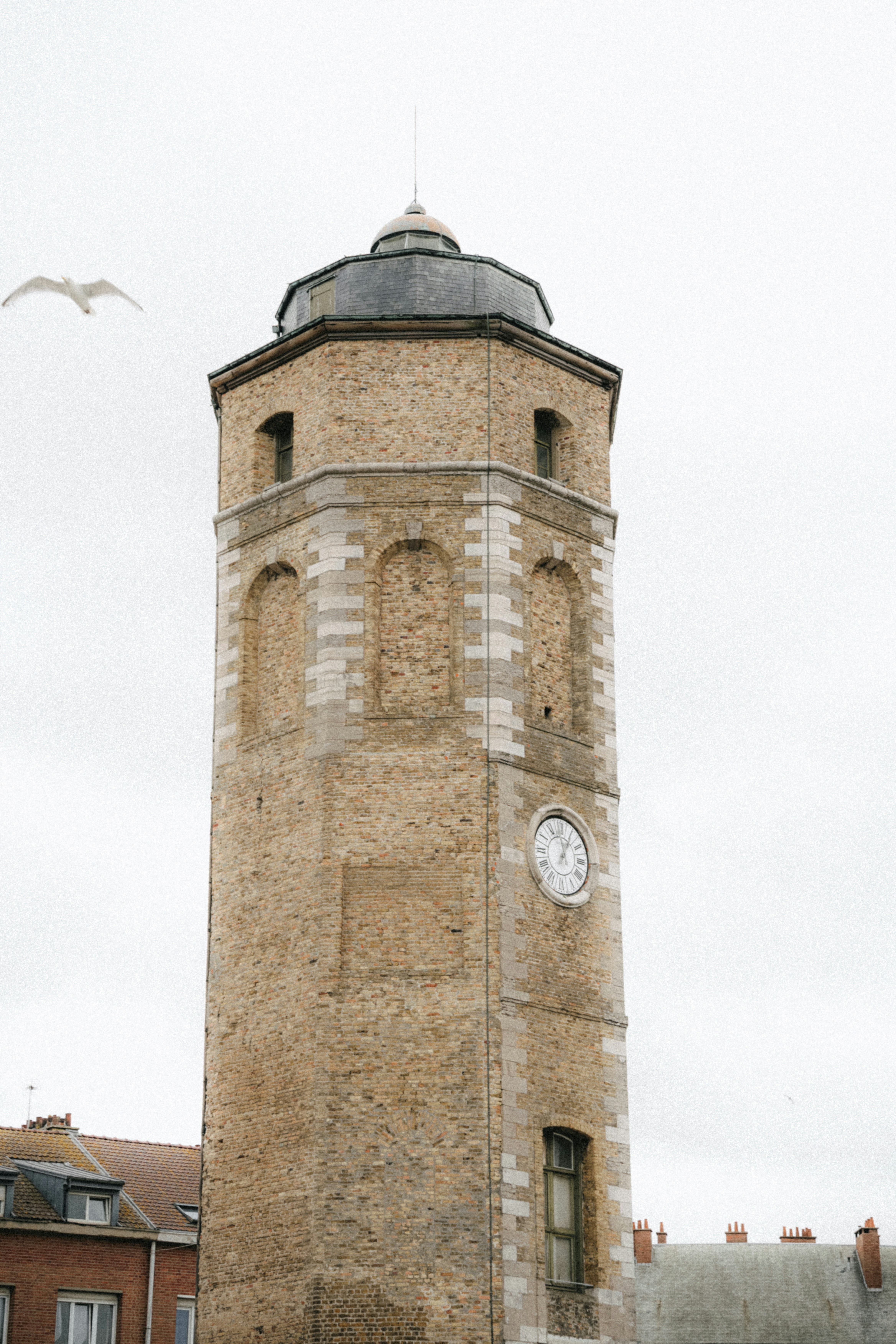 The Timeless Sentinel: A Tower's Story