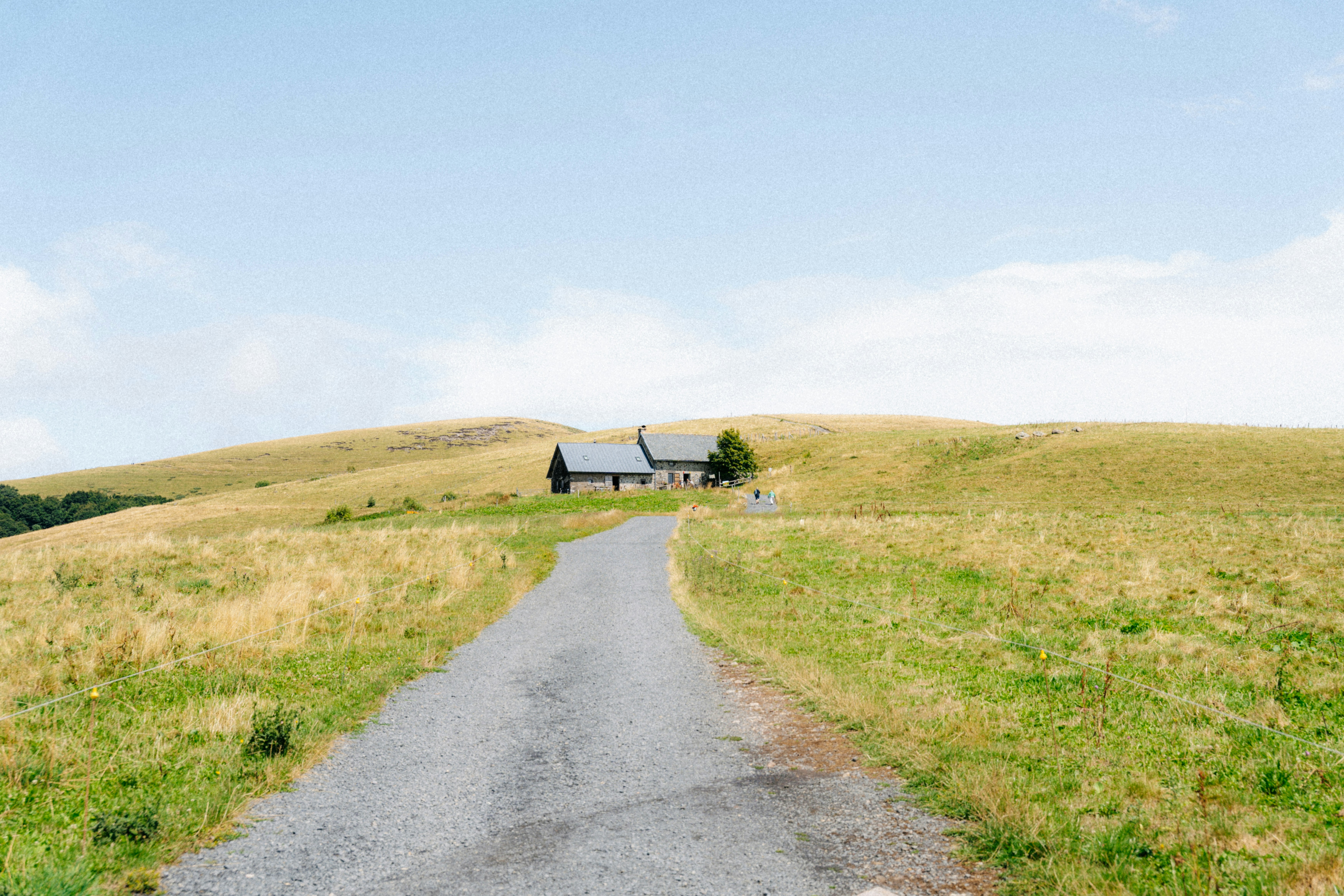 Pathway to Serenity: A Journey Through Golden Fields