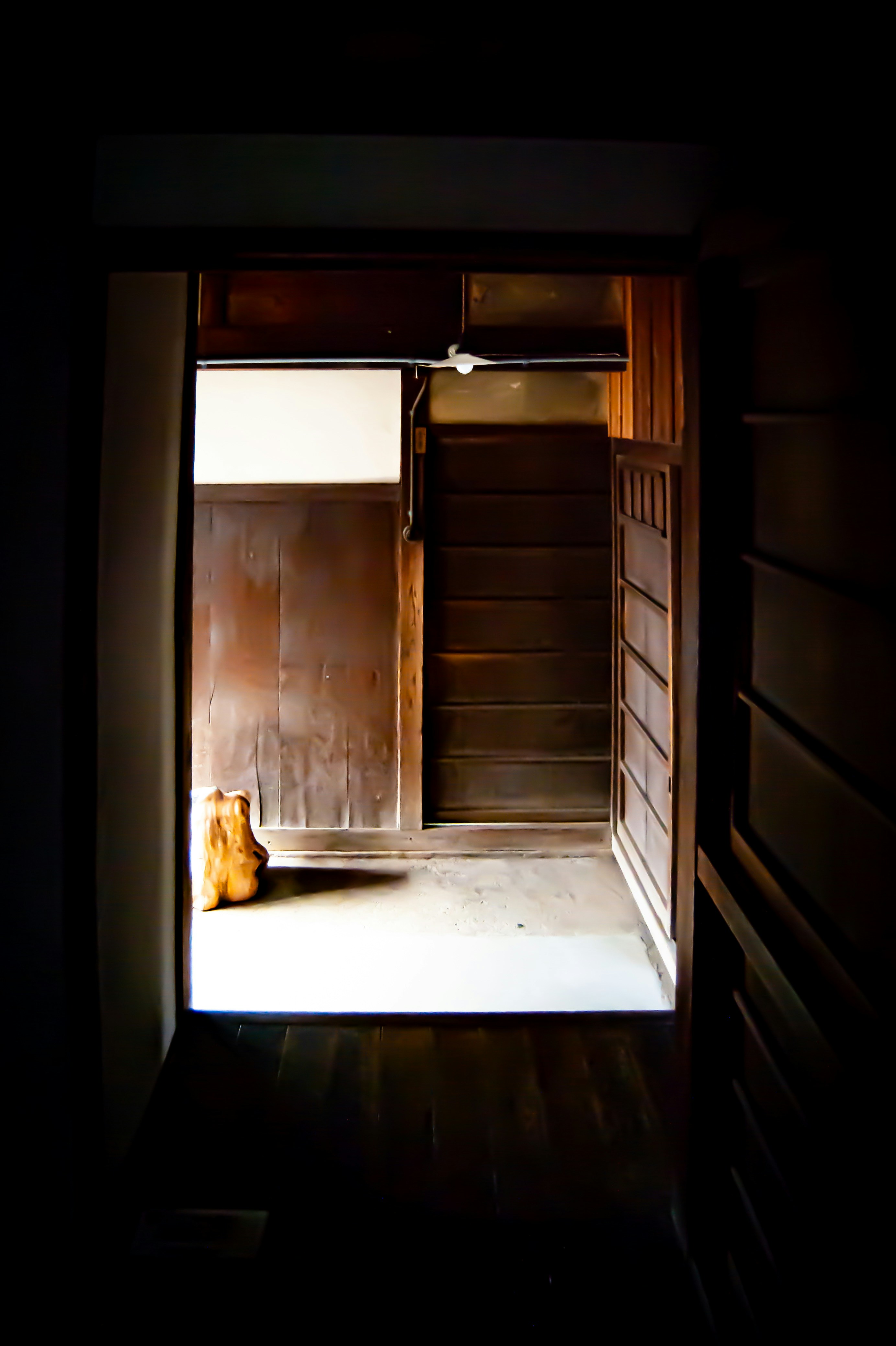 Whispers of Wood and Light