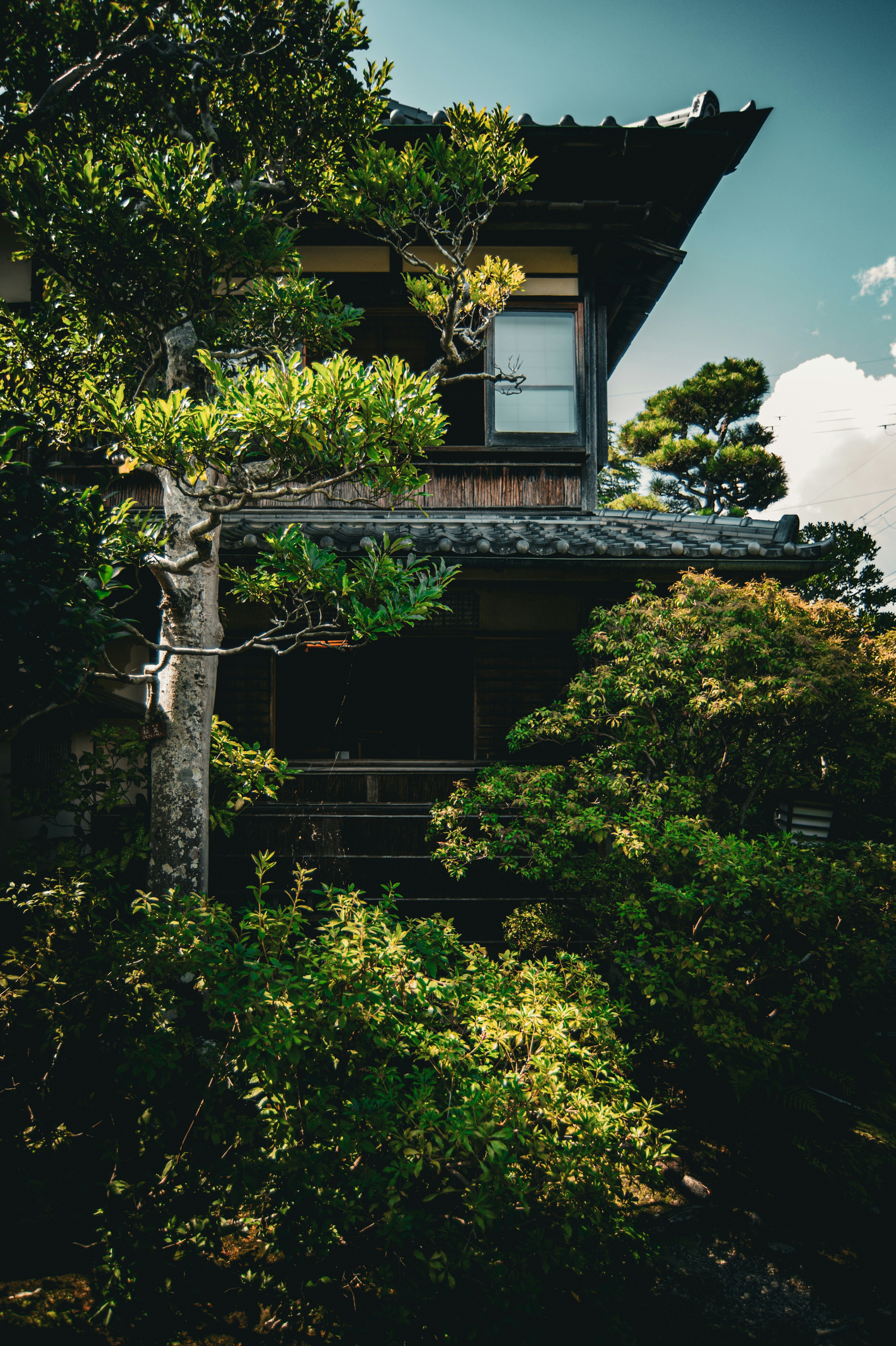 Whispers of Nature: A Serene Abode