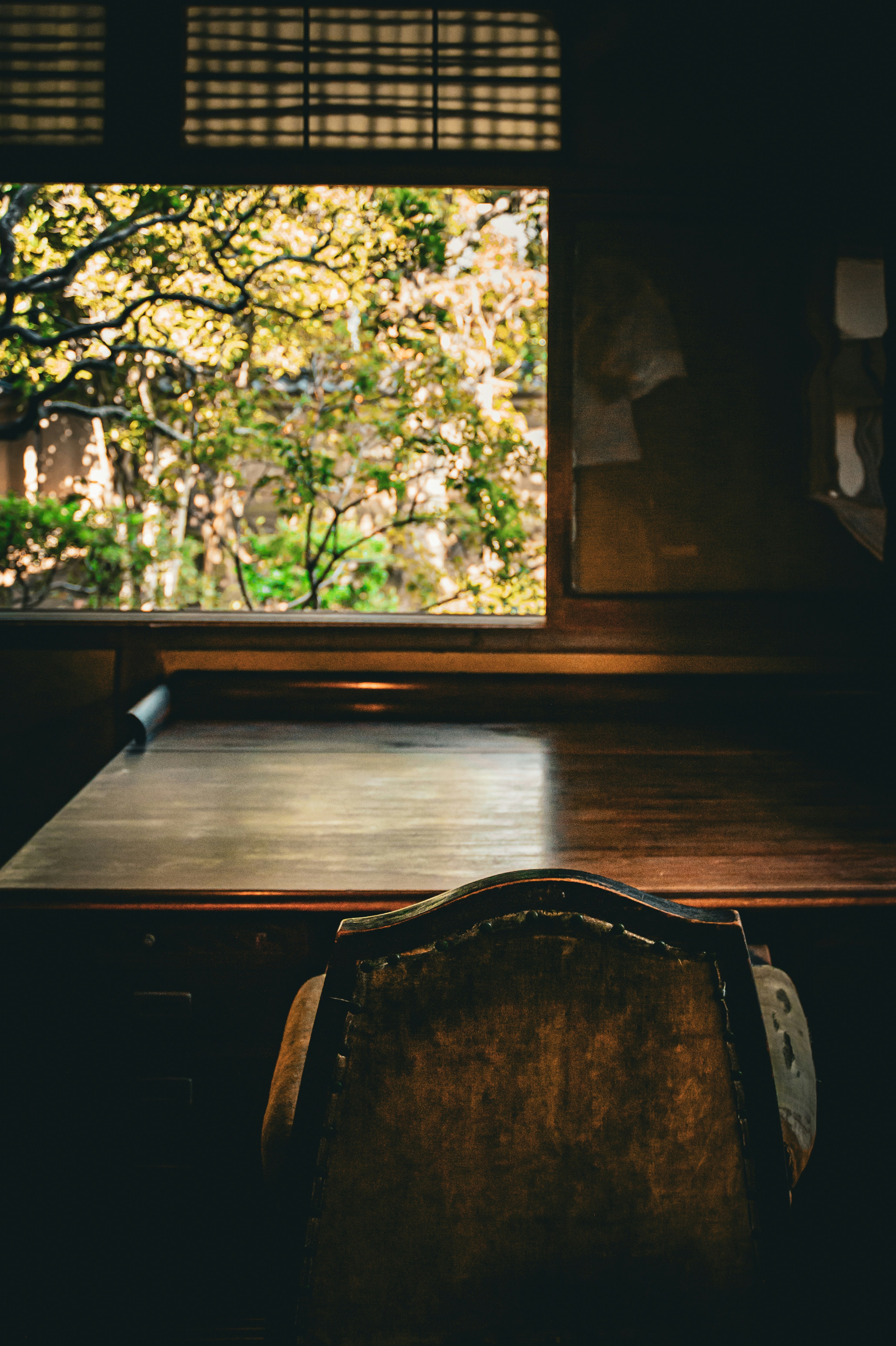 A Quiet Reflection by the Window
