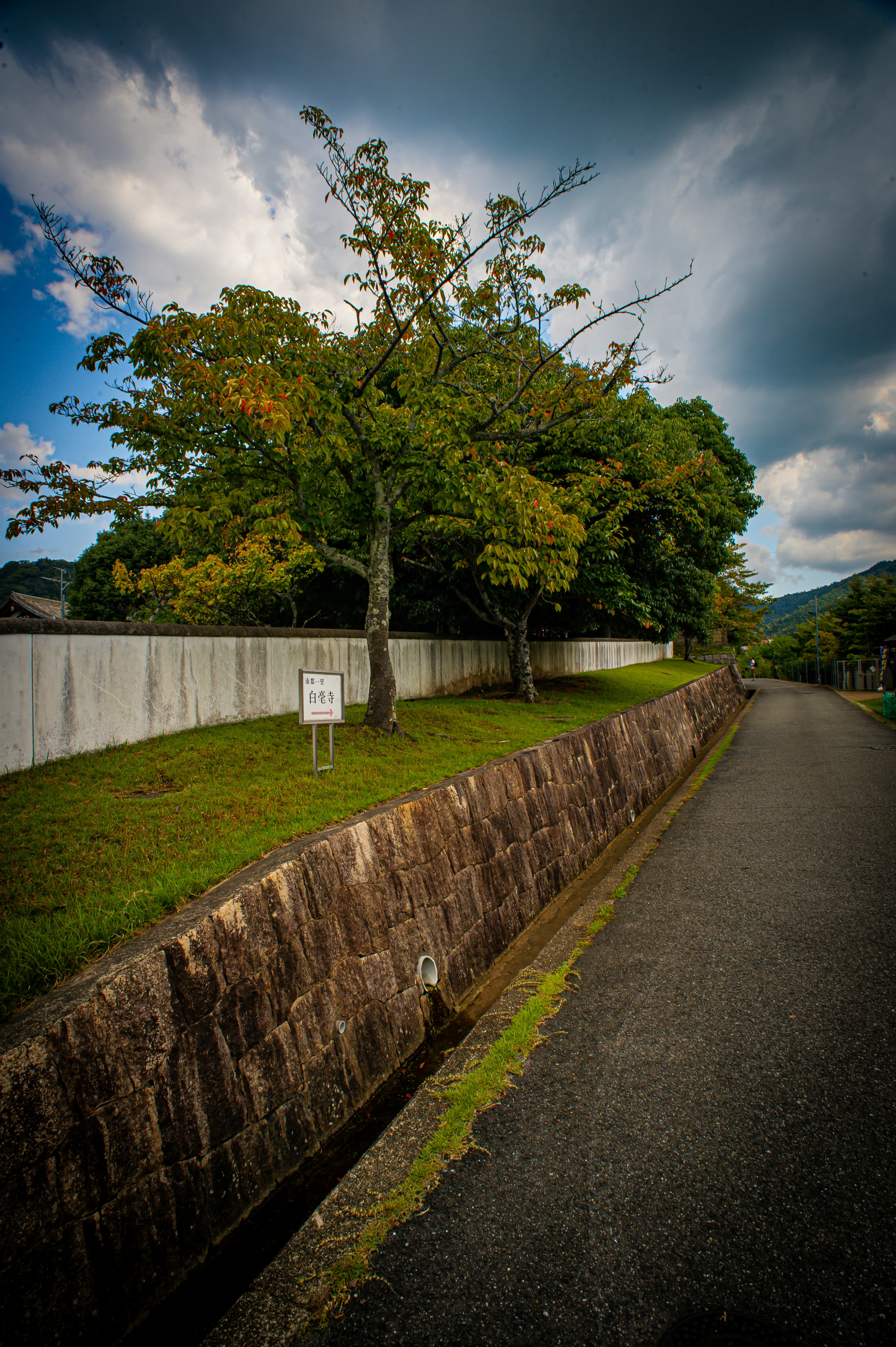 Pathway to Tranquility: A Journey Through Nature's Embrace