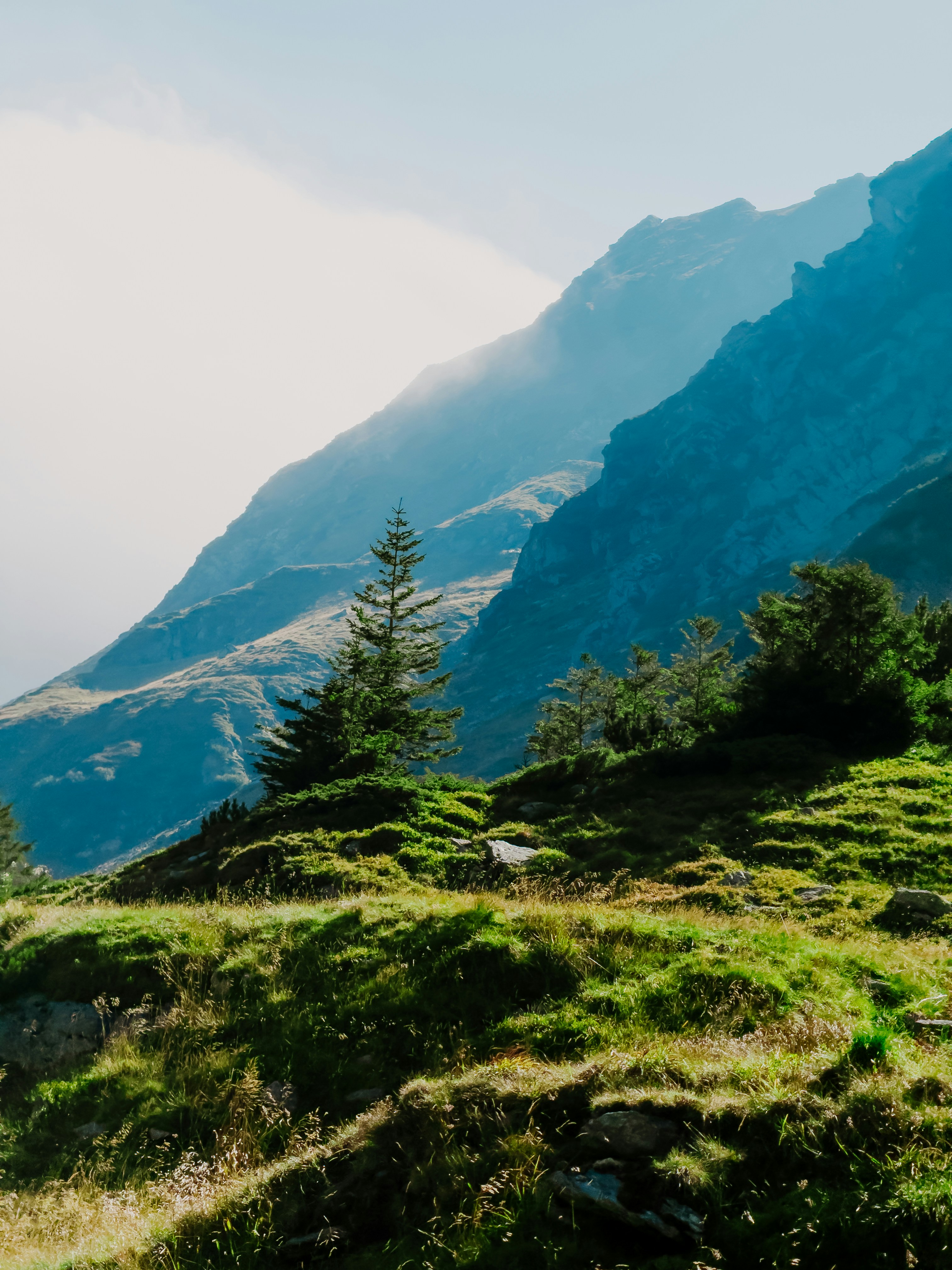 Lush green slopes under towering mountains, with patches of sunlight illuminating the landscape. The scene captures the serene essence of nature's majesty.