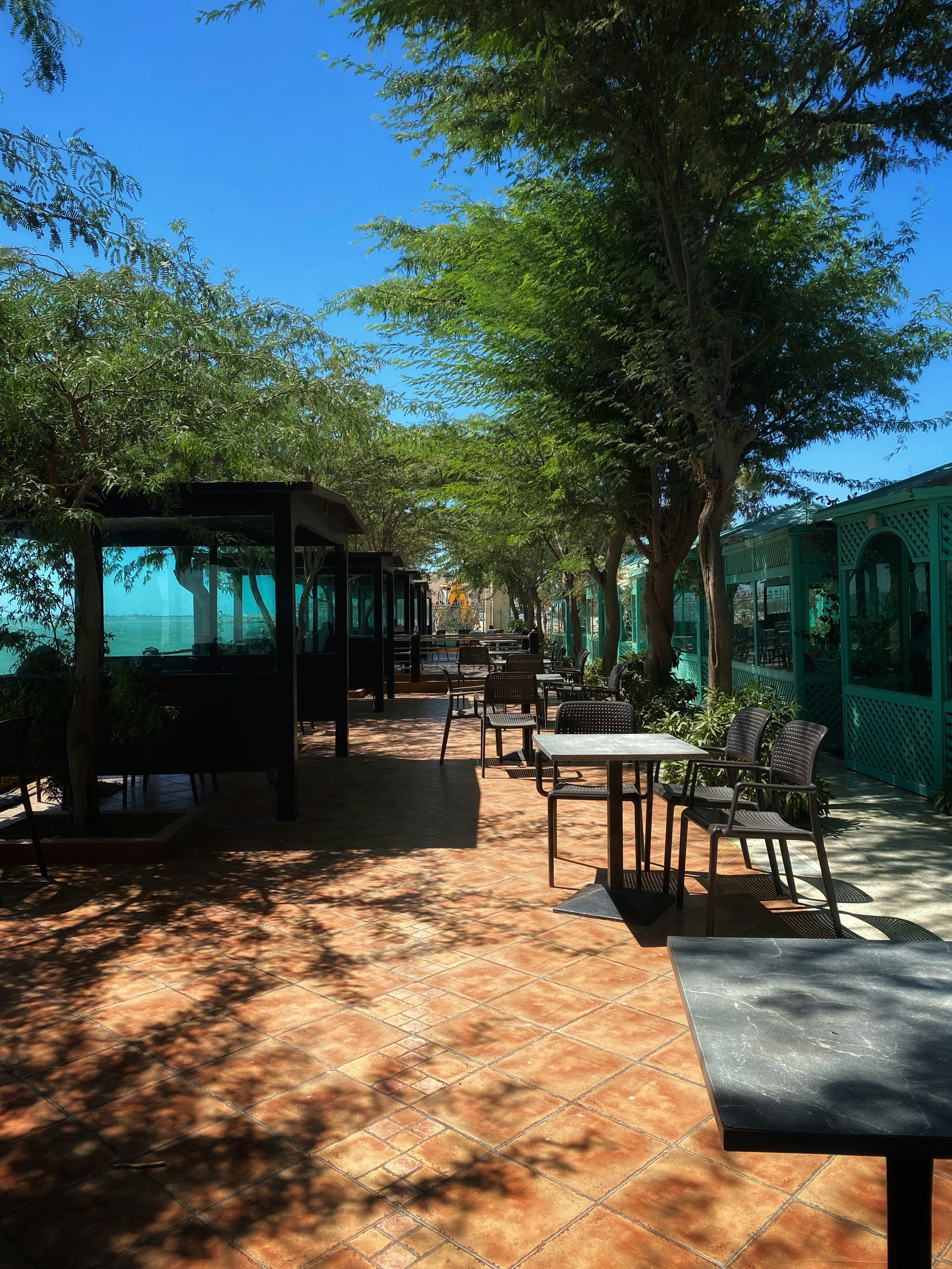 Sunlit Terrace Amid Turquoise Arbors and Shadowed Tables