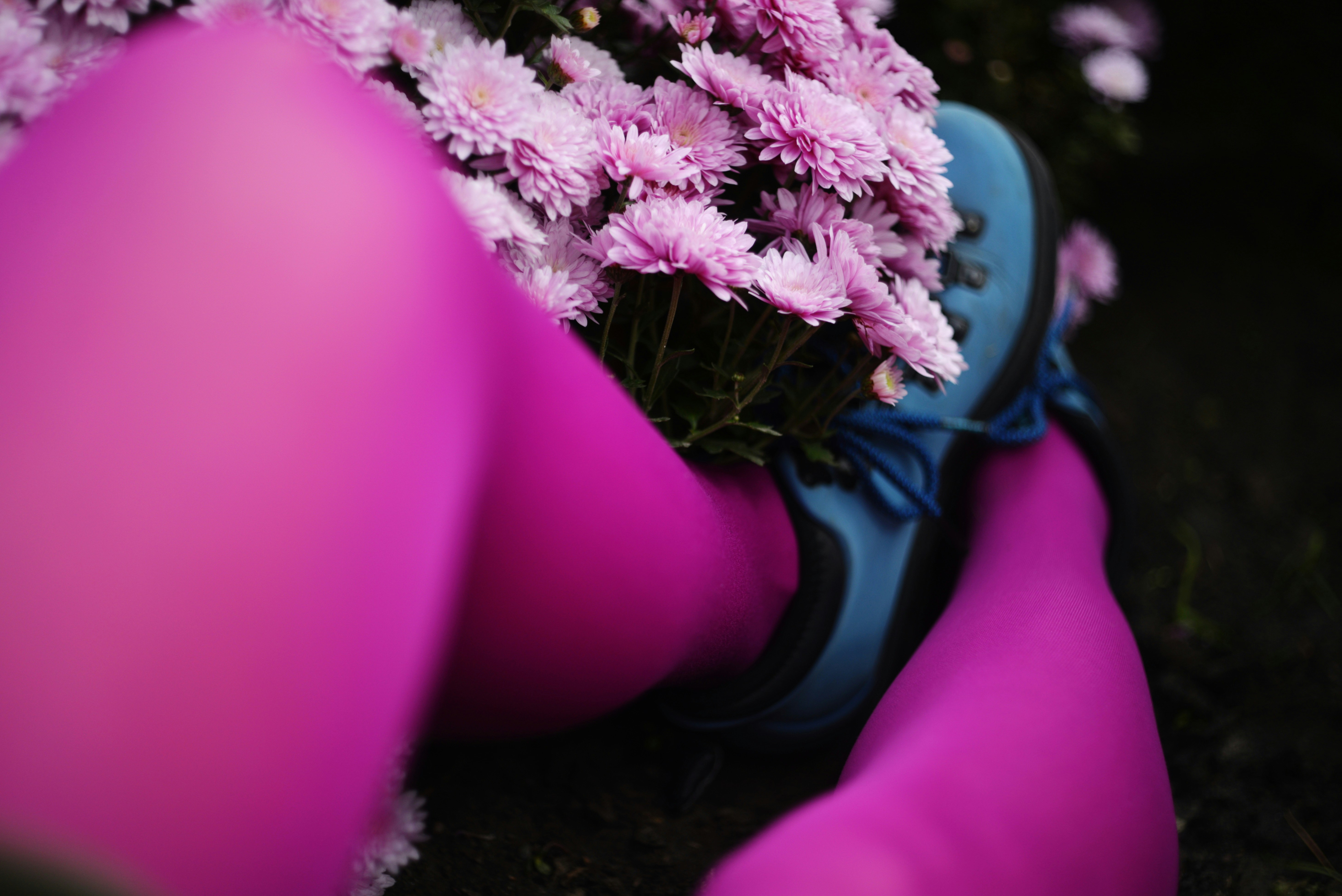 Petals Between Magenta Legs and Indigo Shoes