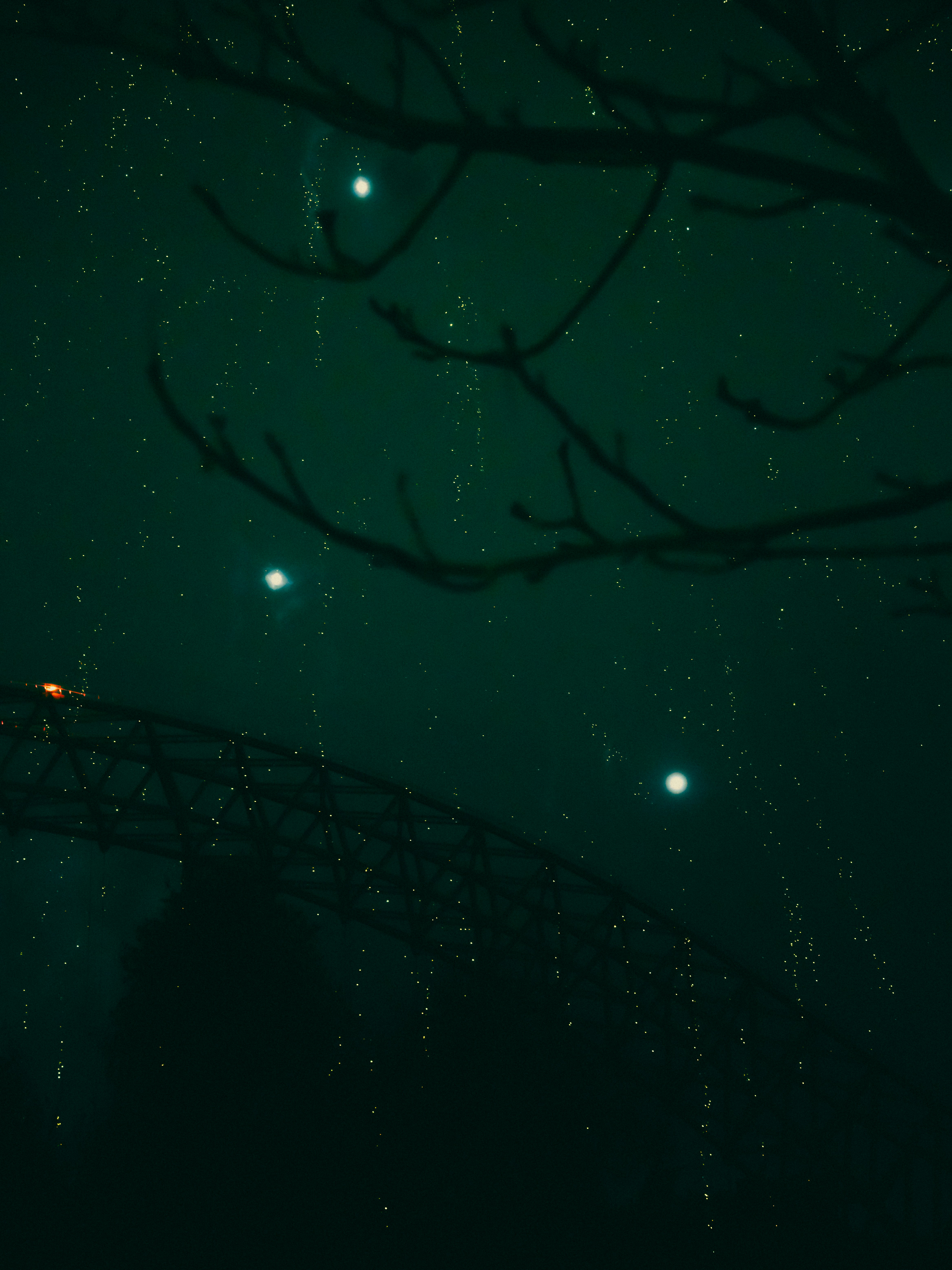 Whispers of the Night Sky