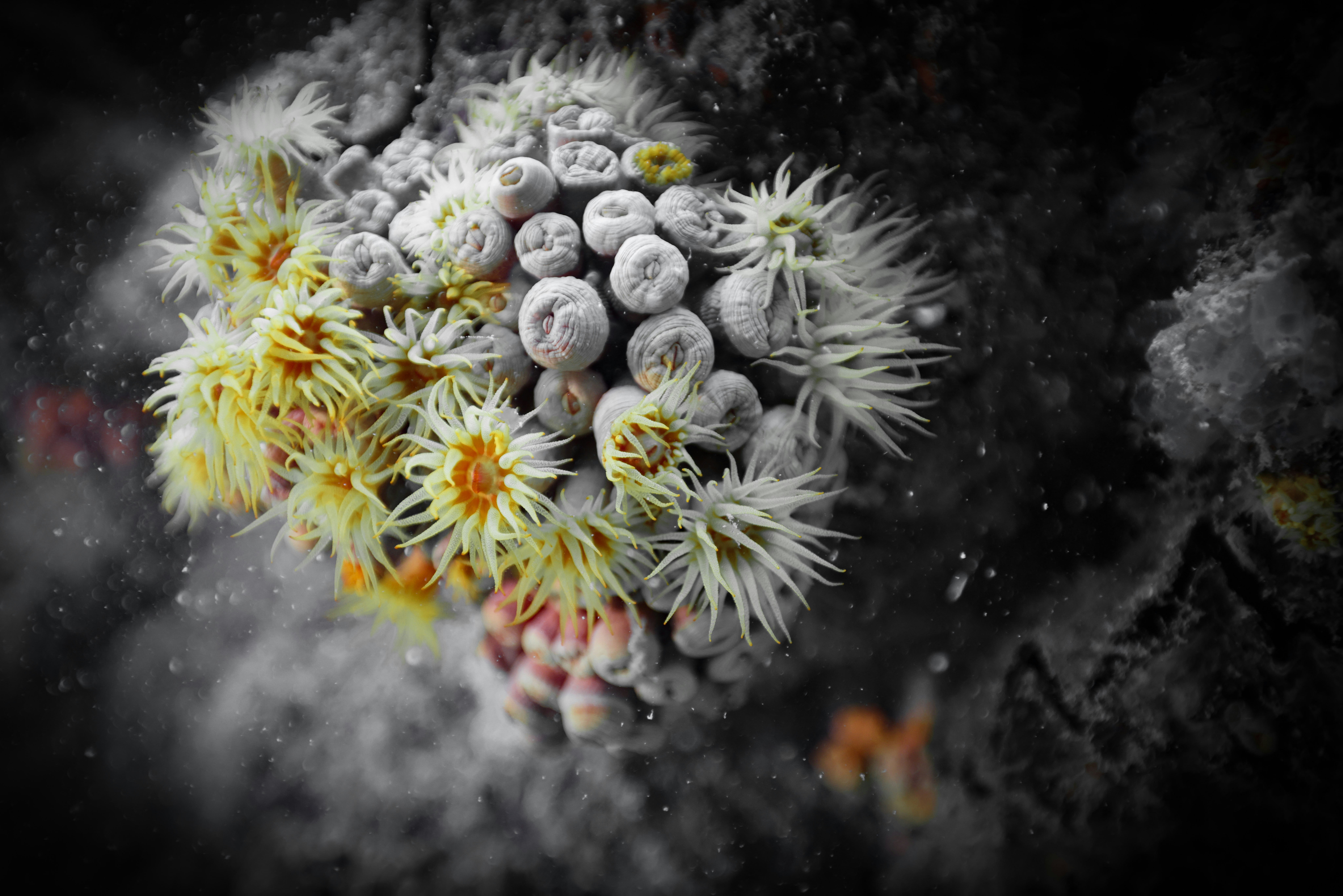 Photo by Ekaterina Zlotnikova with Canon EOS R5 C