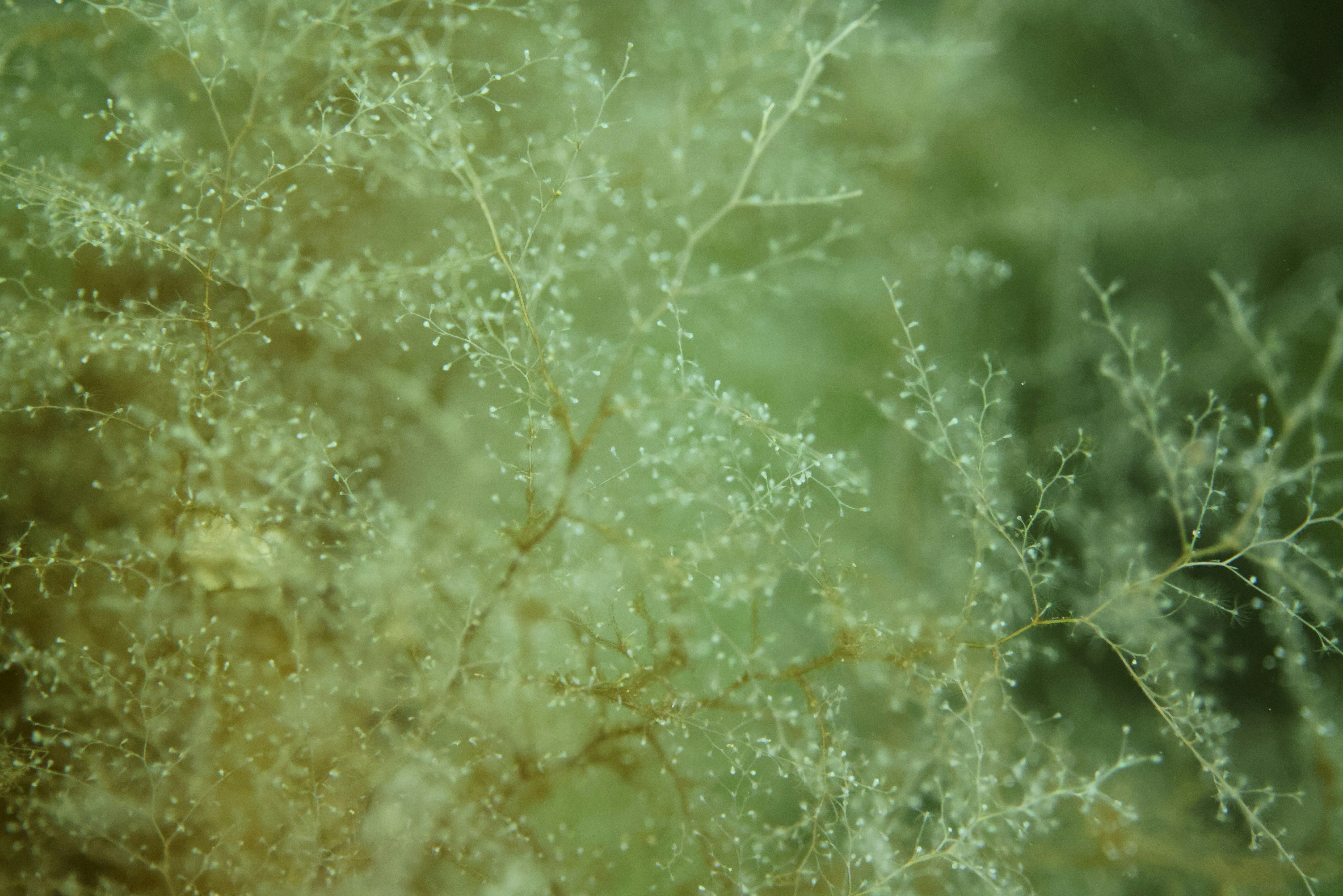 Photo by Ekaterina Zlotnikova with Canon EOS R5 C