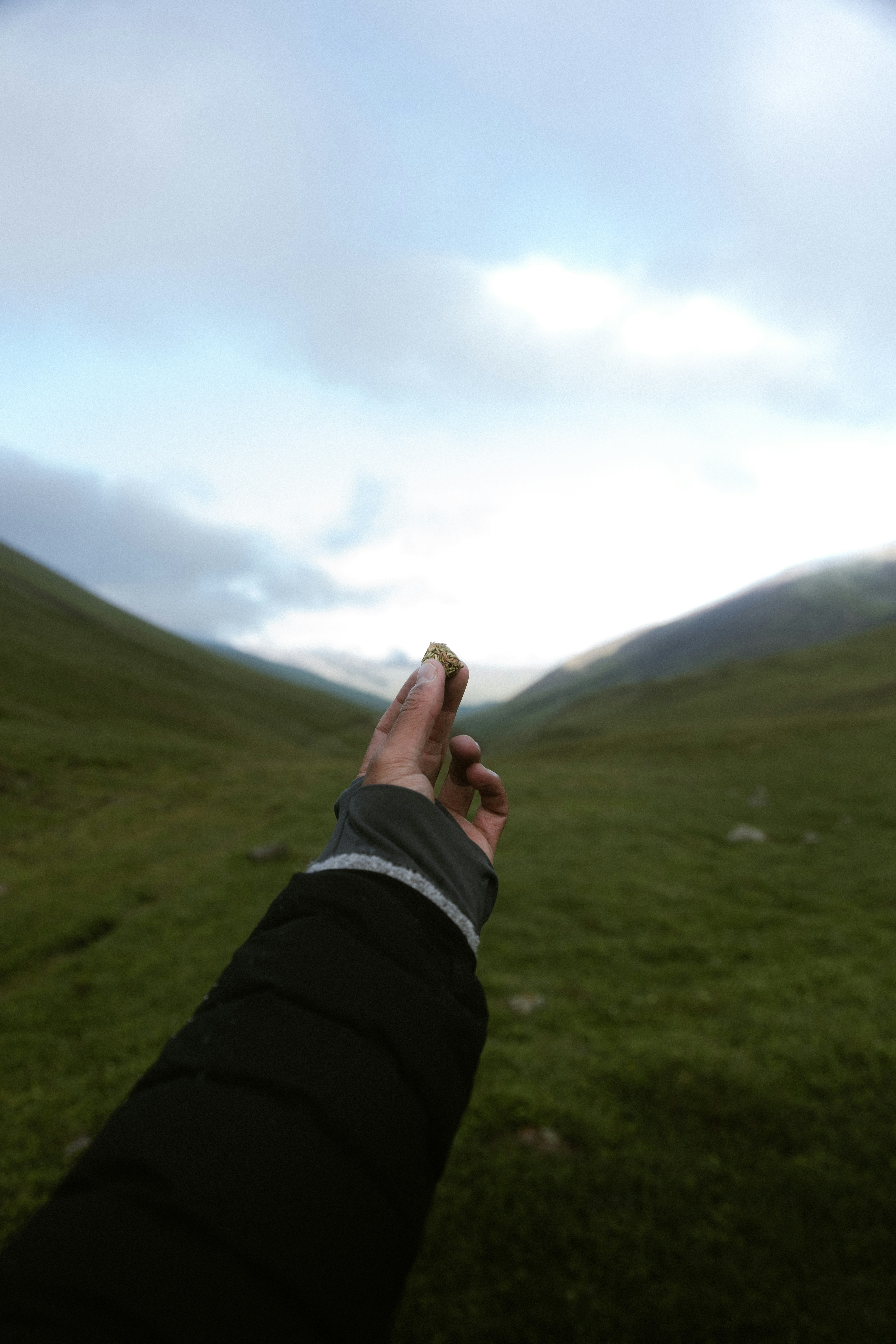 A Gesture of Connection in Nature's Embrace