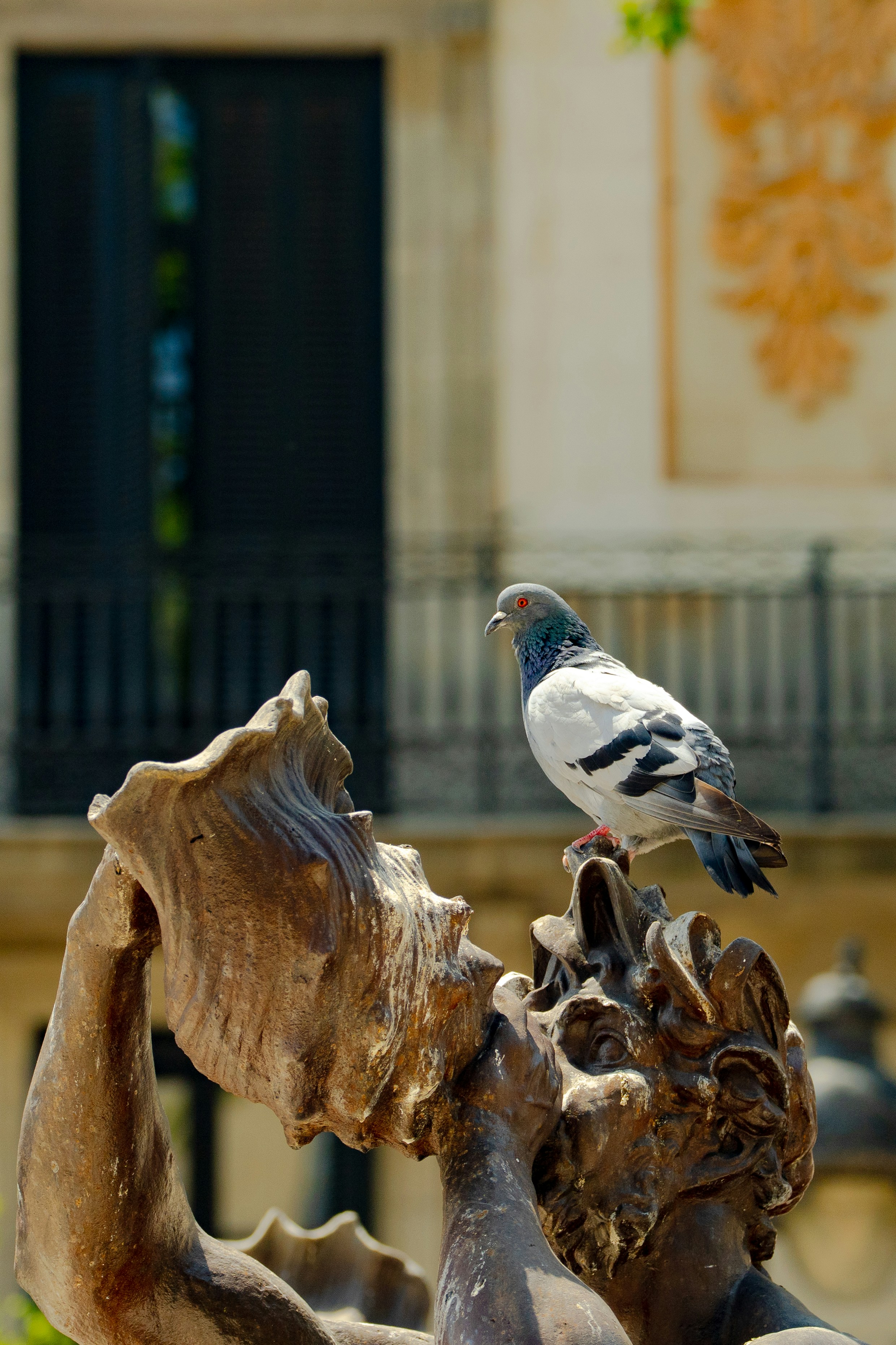 Urban Harmony: A Pigeon’s Perch on Art