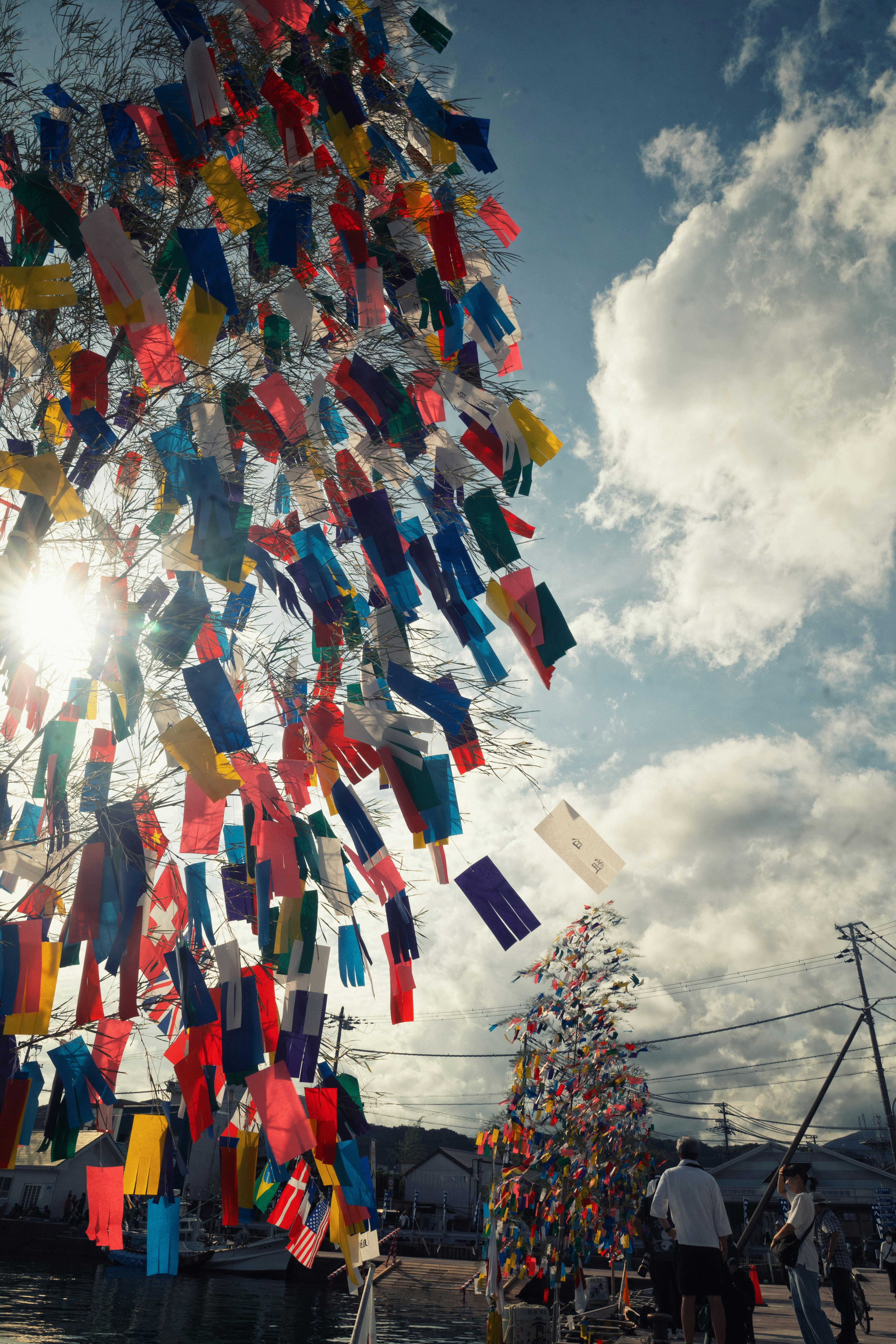 Whispers of Color in the Breeze